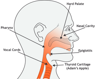 How to Lower Your Voice : 3 Steps - Instructables
