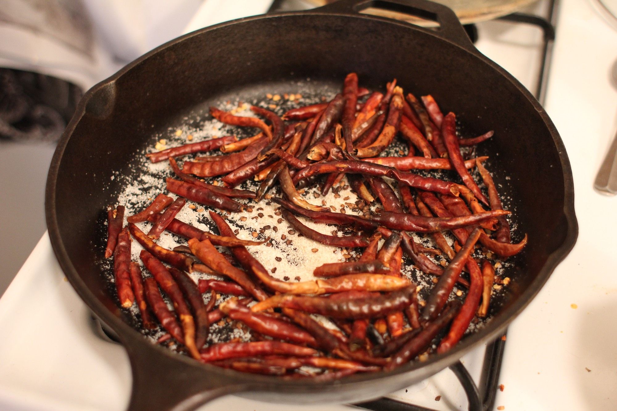 Toasted Chili Powder (with Pictures) - Instructables