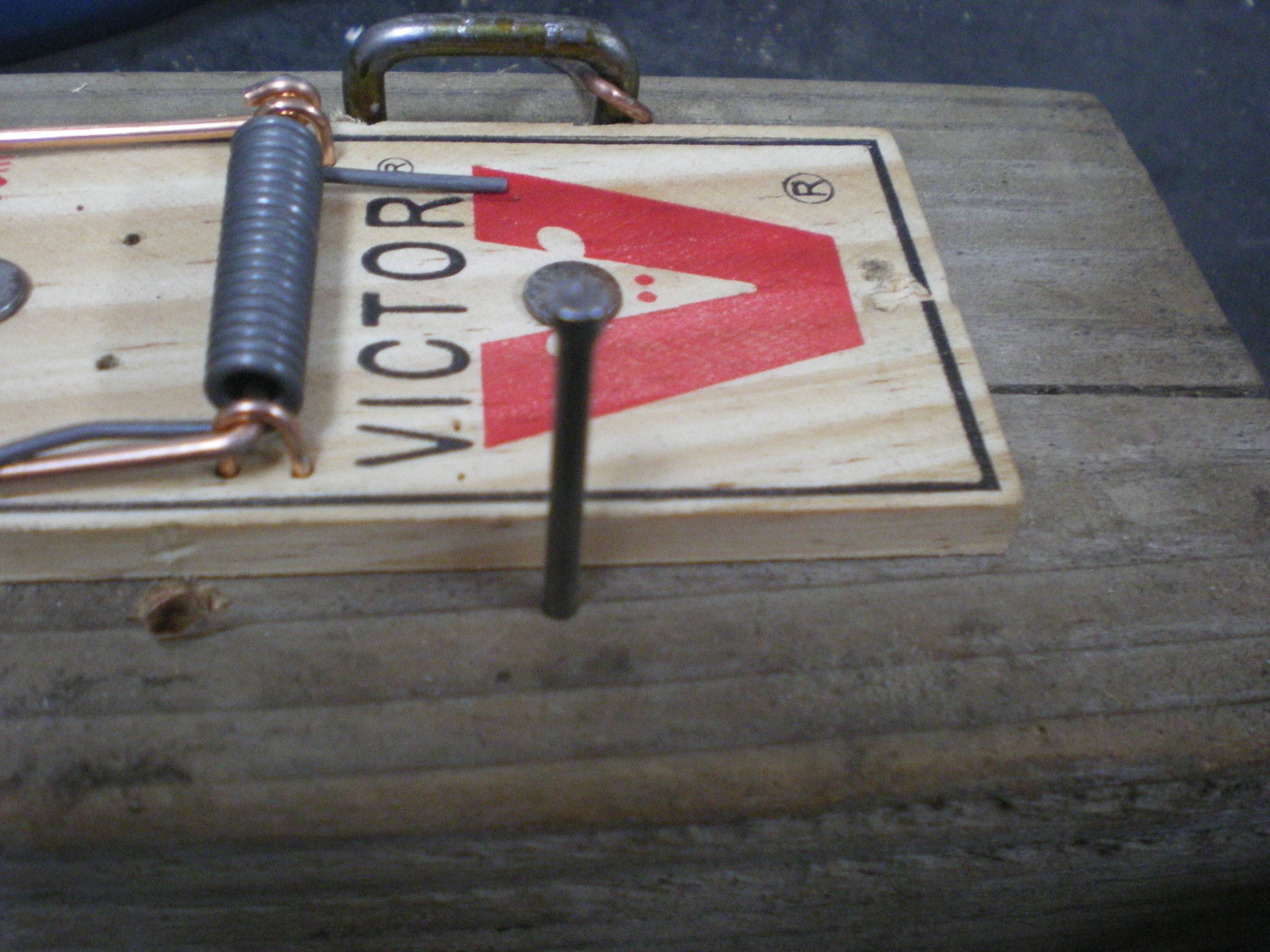 Airsoft Mousetrap Claymore : 9 Steps - Instructables