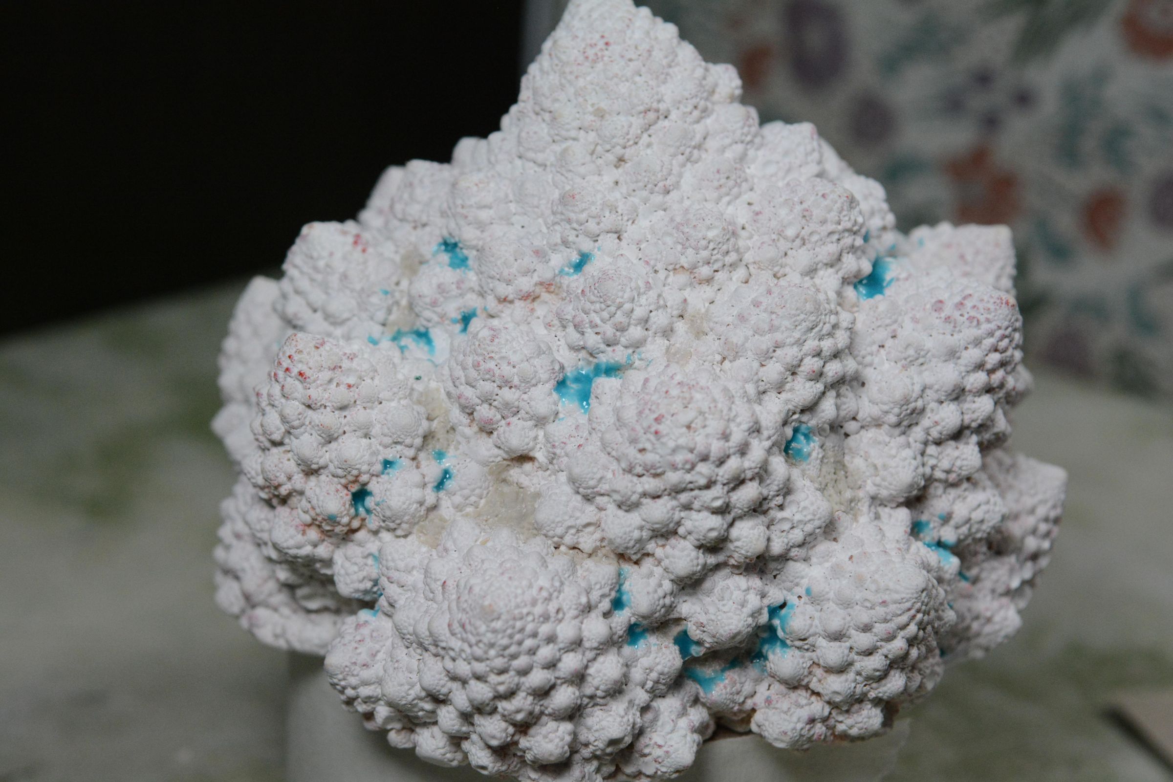 Turn Romanesco Broccoli Into a Candle : 17 Steps (with Pictures ...