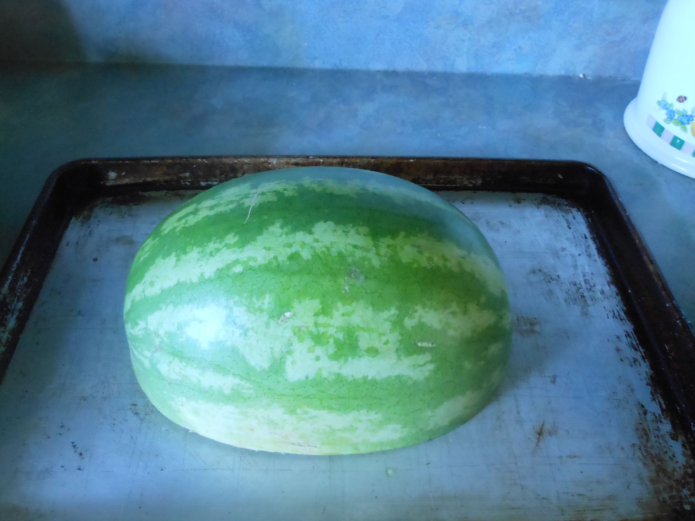 How to Cut (and Remove the Seeds From) a Watermelon for a Salad : 11 ...