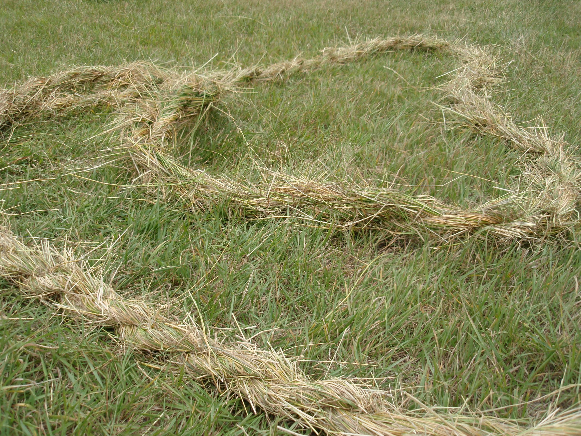 Make a Tug-O-War Rope Out of Grass - by Thomas J. Elpel : 6 Steps (with ...