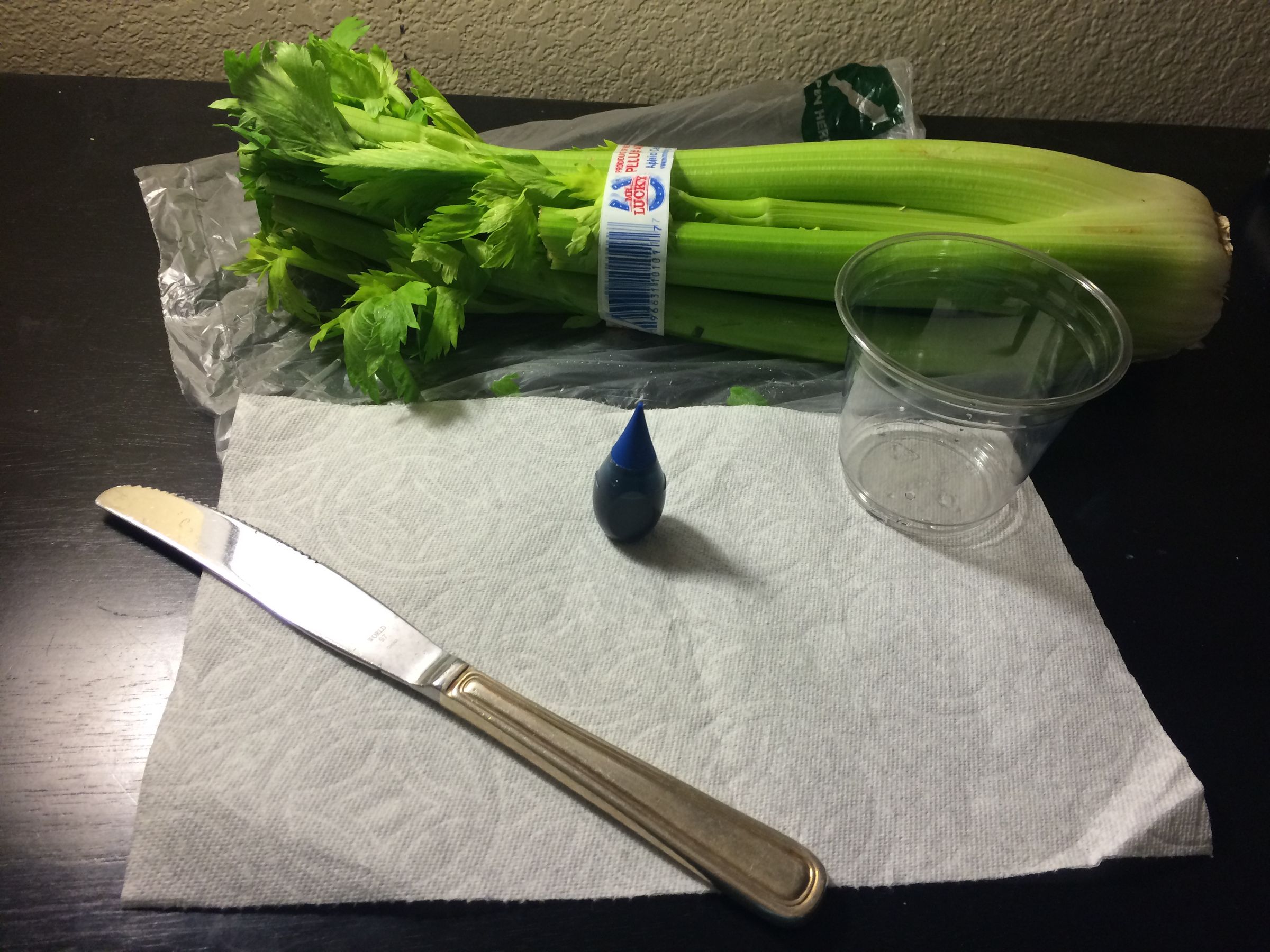 Observing Water Movement Within Celery : 7 Steps - Instructables