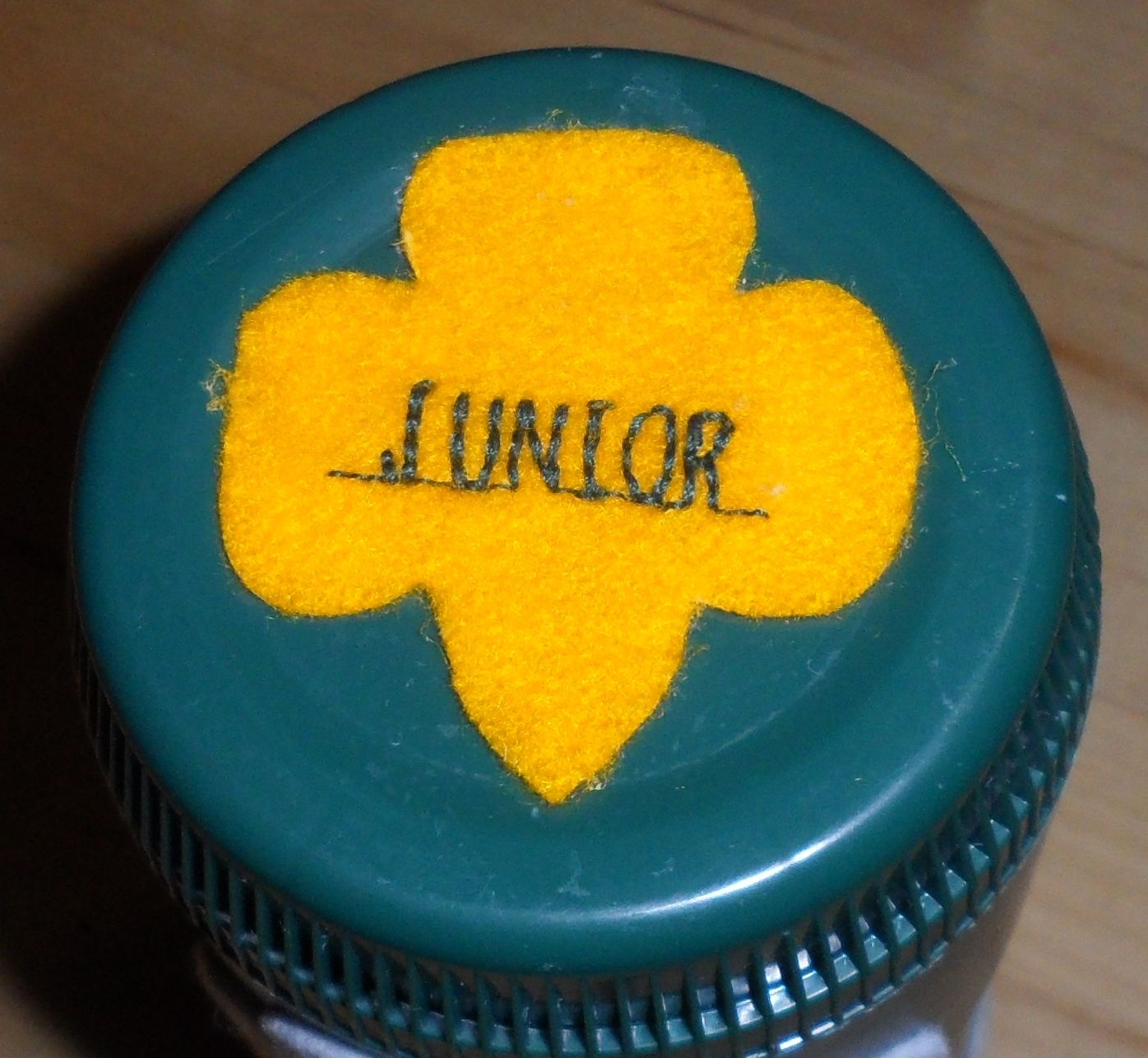 Daisy, Brownie, and Girl Scout Containers : 9 Steps - Instructables