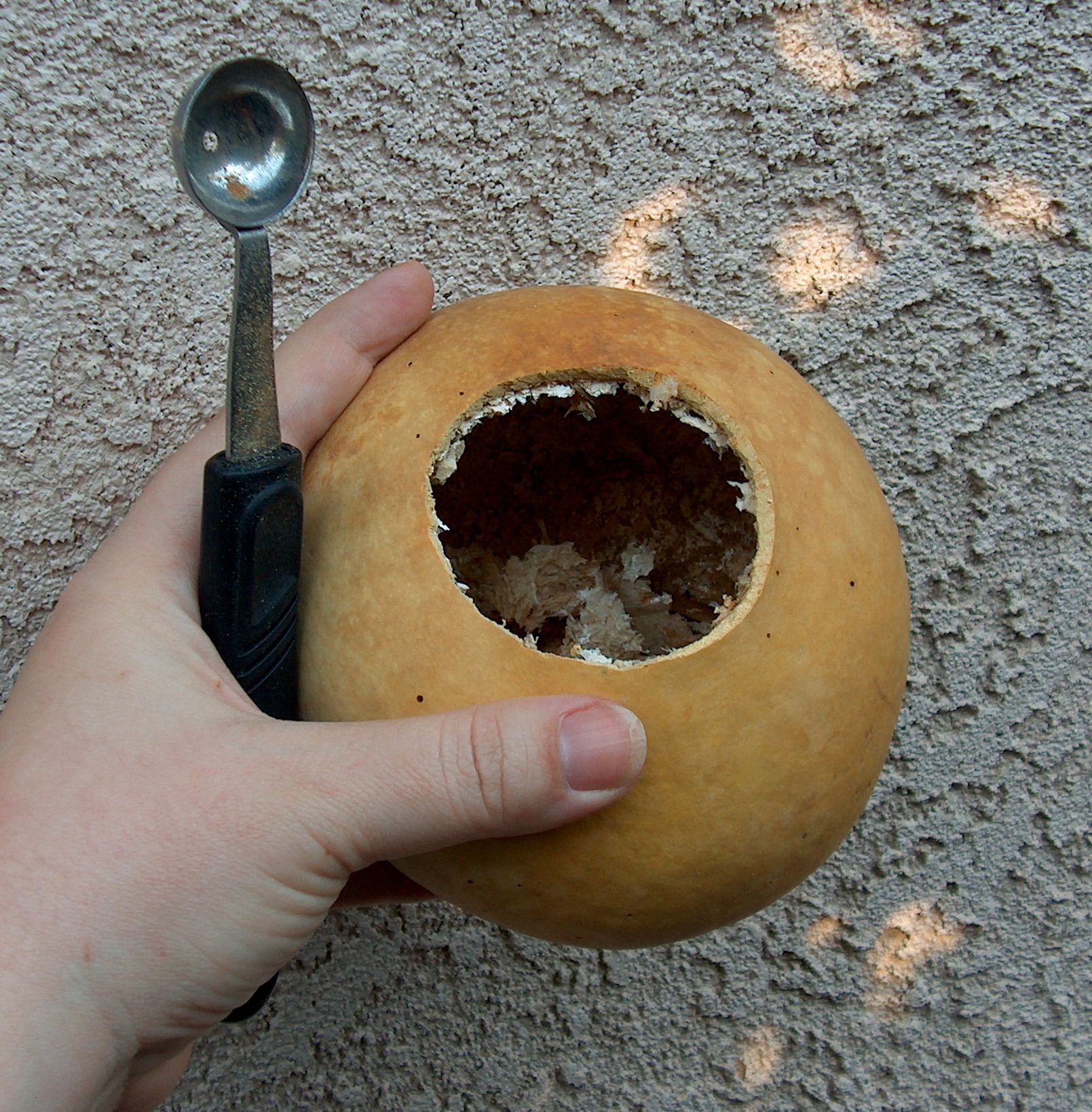 How to Clean a Hardshell Gourd : 3 Steps (with Pictures) - Instructables