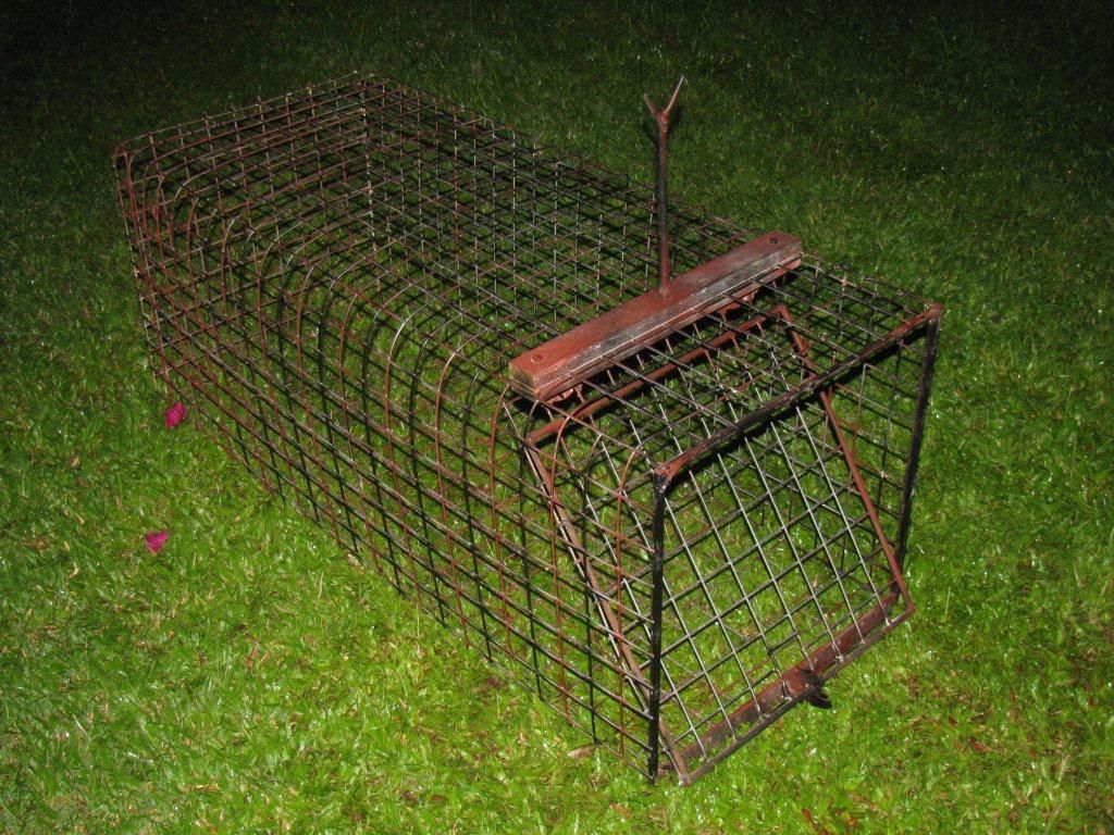 Home Made Live Trap Trigger