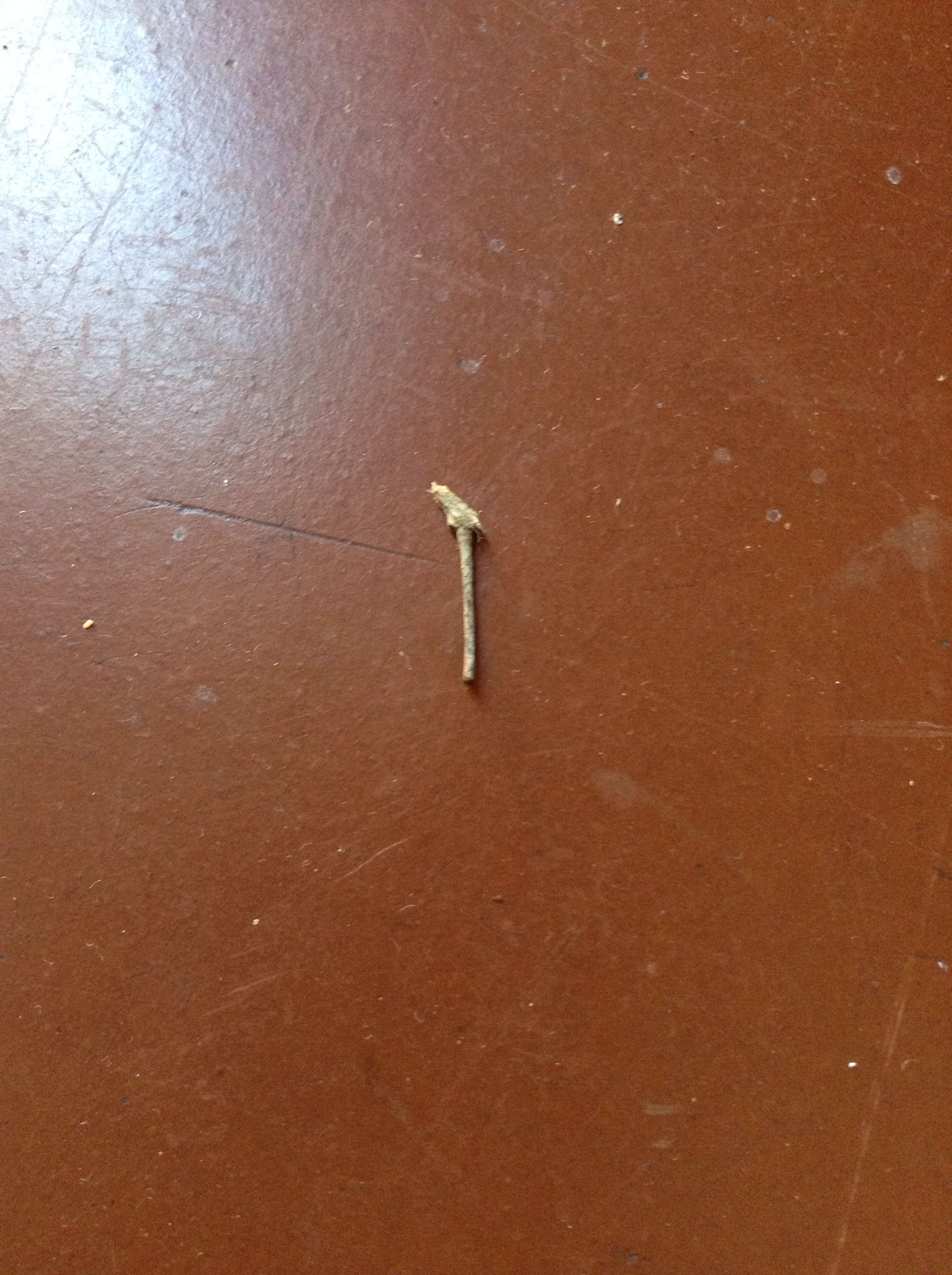 Spitball Launcher : 4 Steps - Instructables