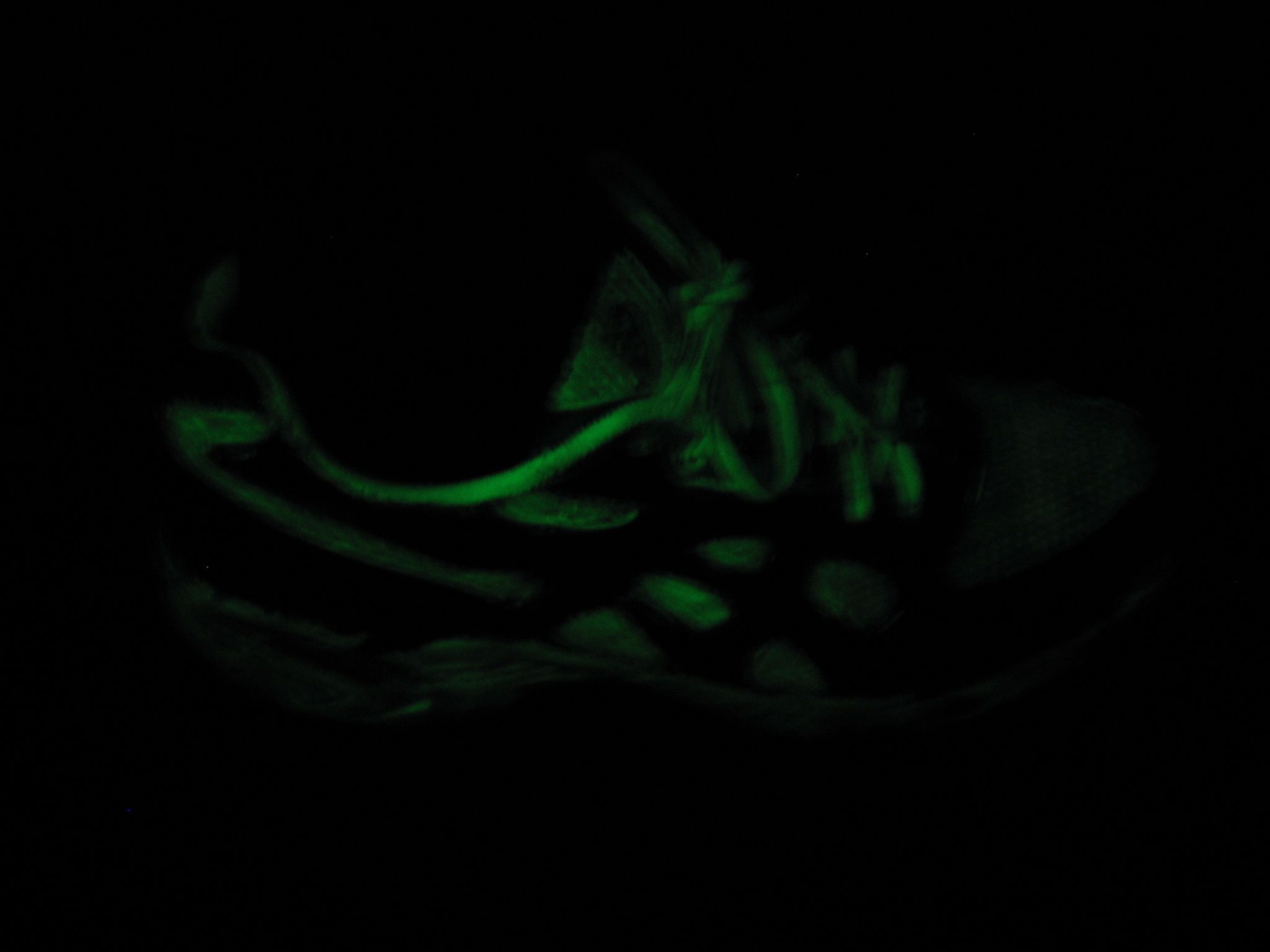Safe Sneaks(Glow/Reflective Shoes) : 6 Steps (with Pictures ...