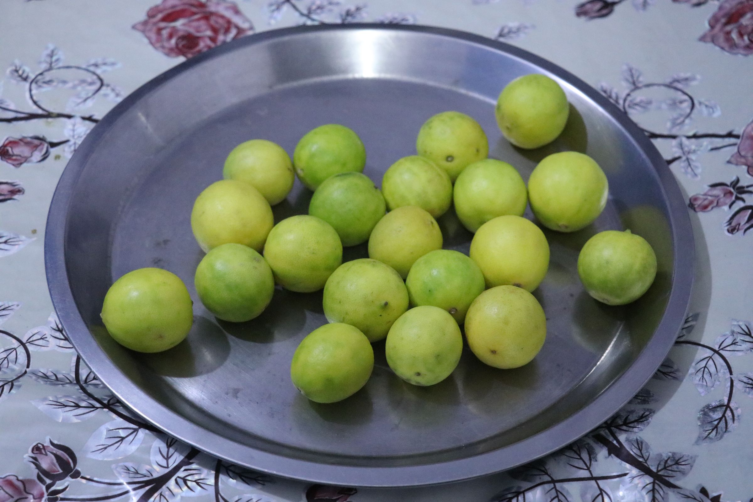 Lemon Punch Ready in 15 Days! - Instructables