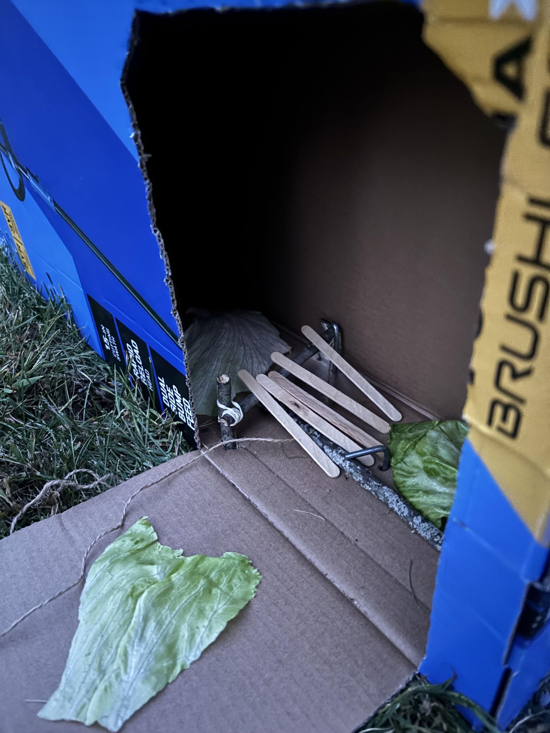 Easy Bunny Trap! : 12 Steps (with Pictures) - Instructables