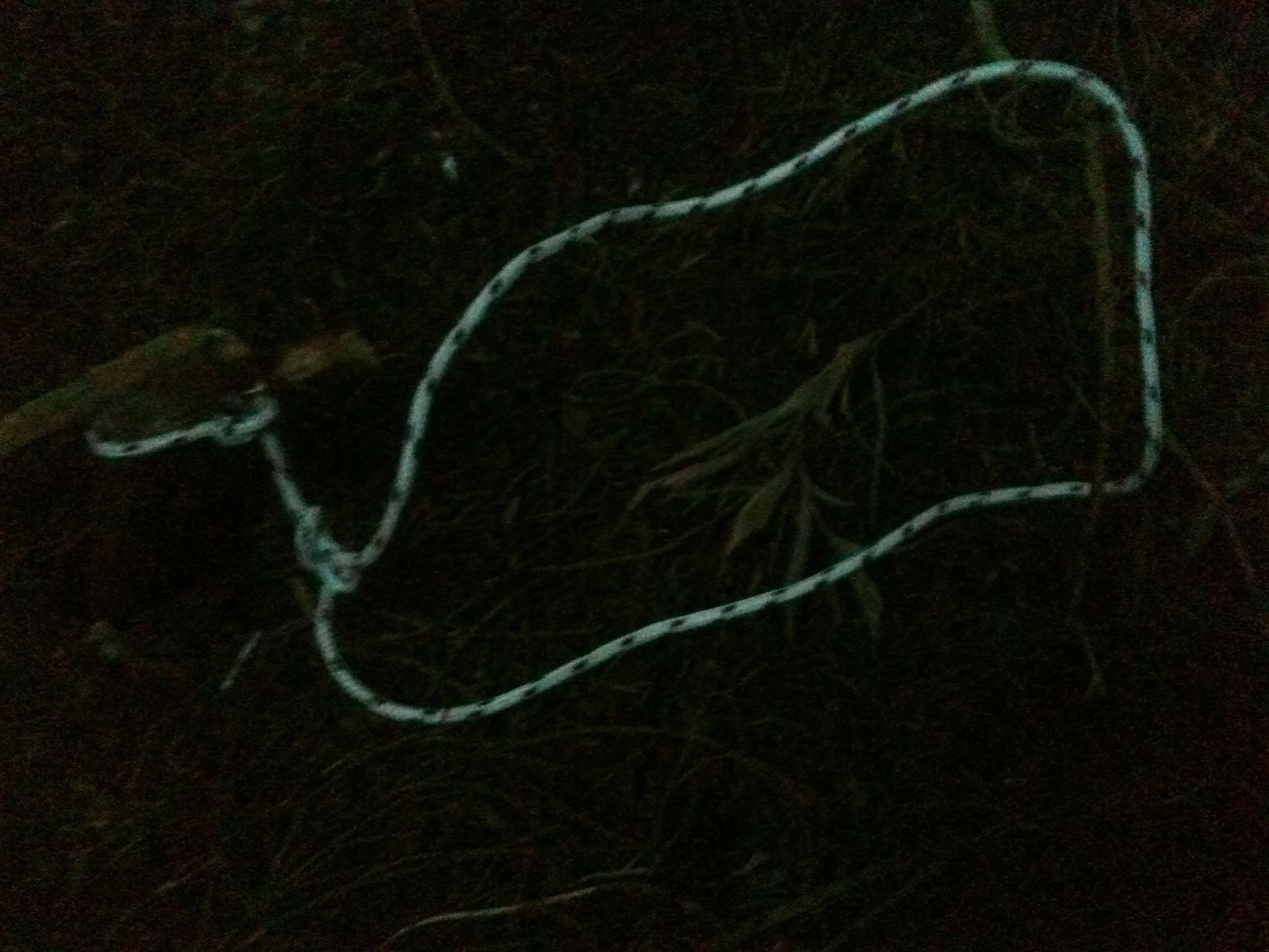 Simple Snare for Small Game : 5 Steps - Instructables