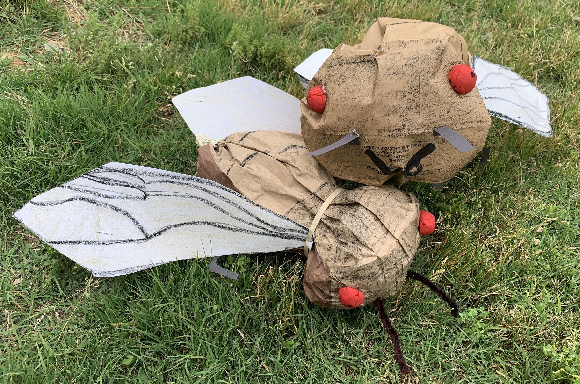 Giant Cicada Sculpture Using a Paper Lunch Bag : 7 Steps (with Pictures ...