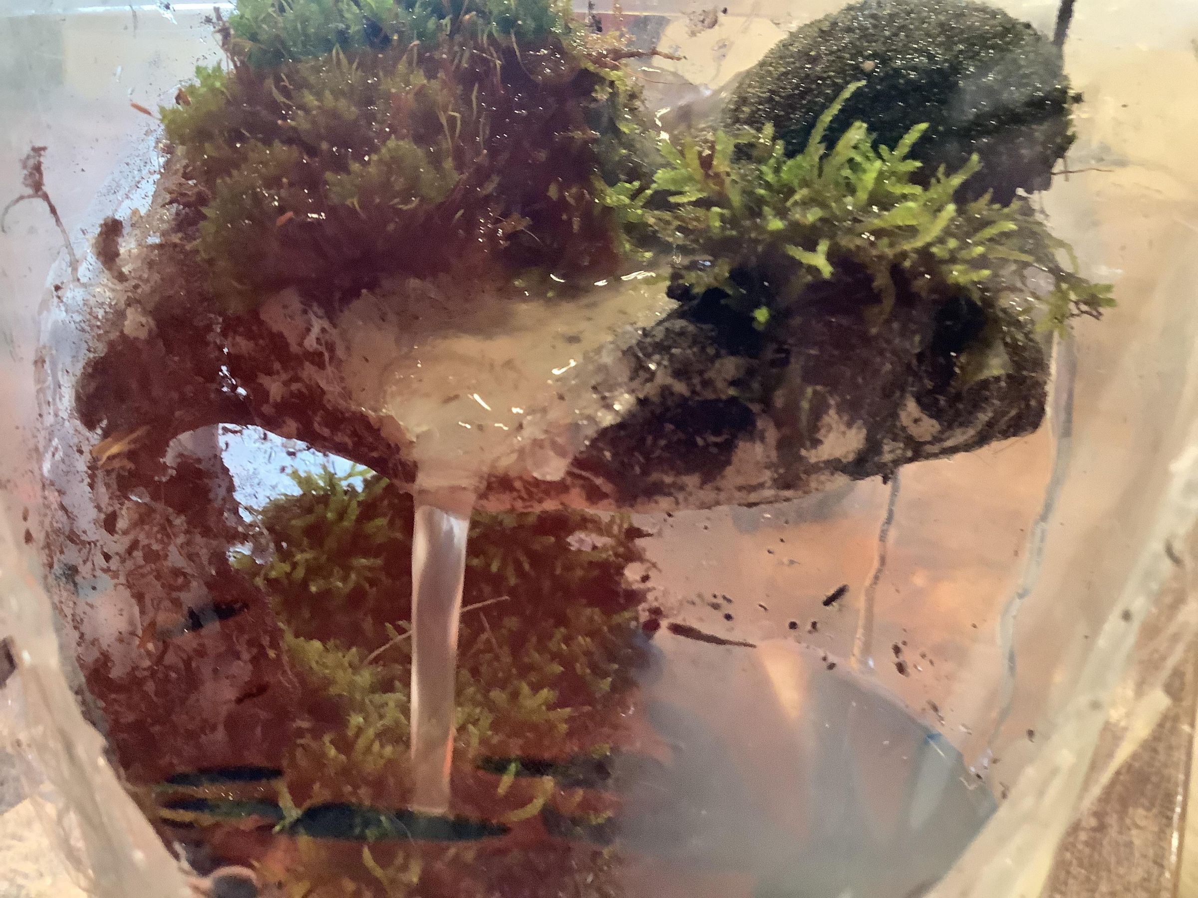 How to Make a Terrarium With a Running Waterfall : 7 Steps - Instructables