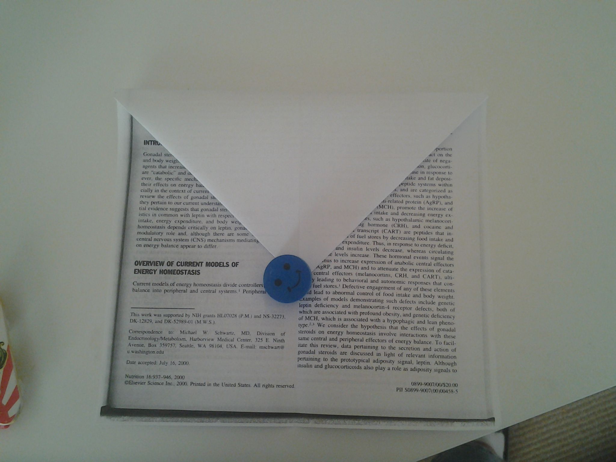 How to Make a Dart Paper Plane : 7 Steps - Instructables