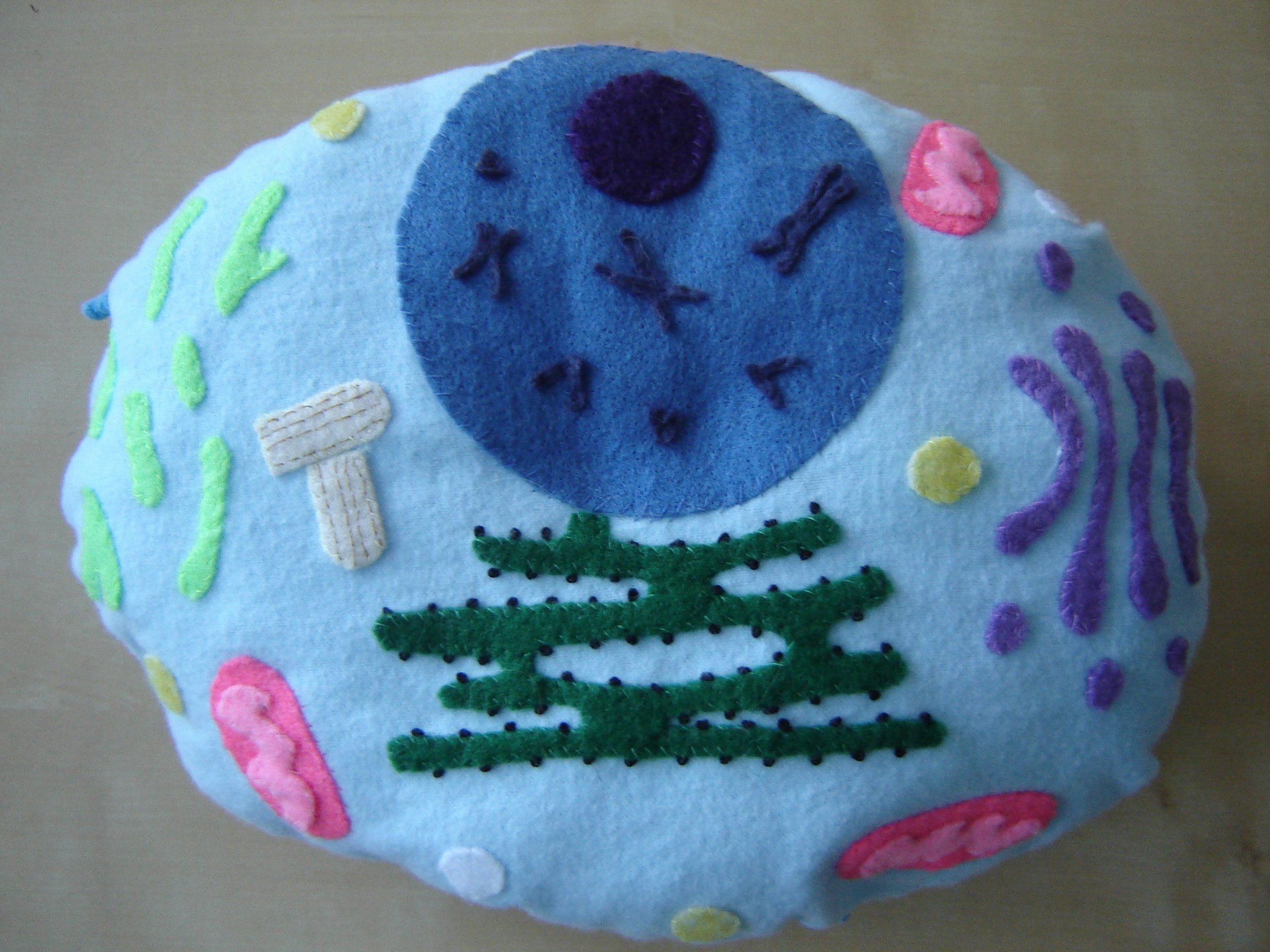 Plush Cell Model : 13 Steps (with Pictures) - Instructables