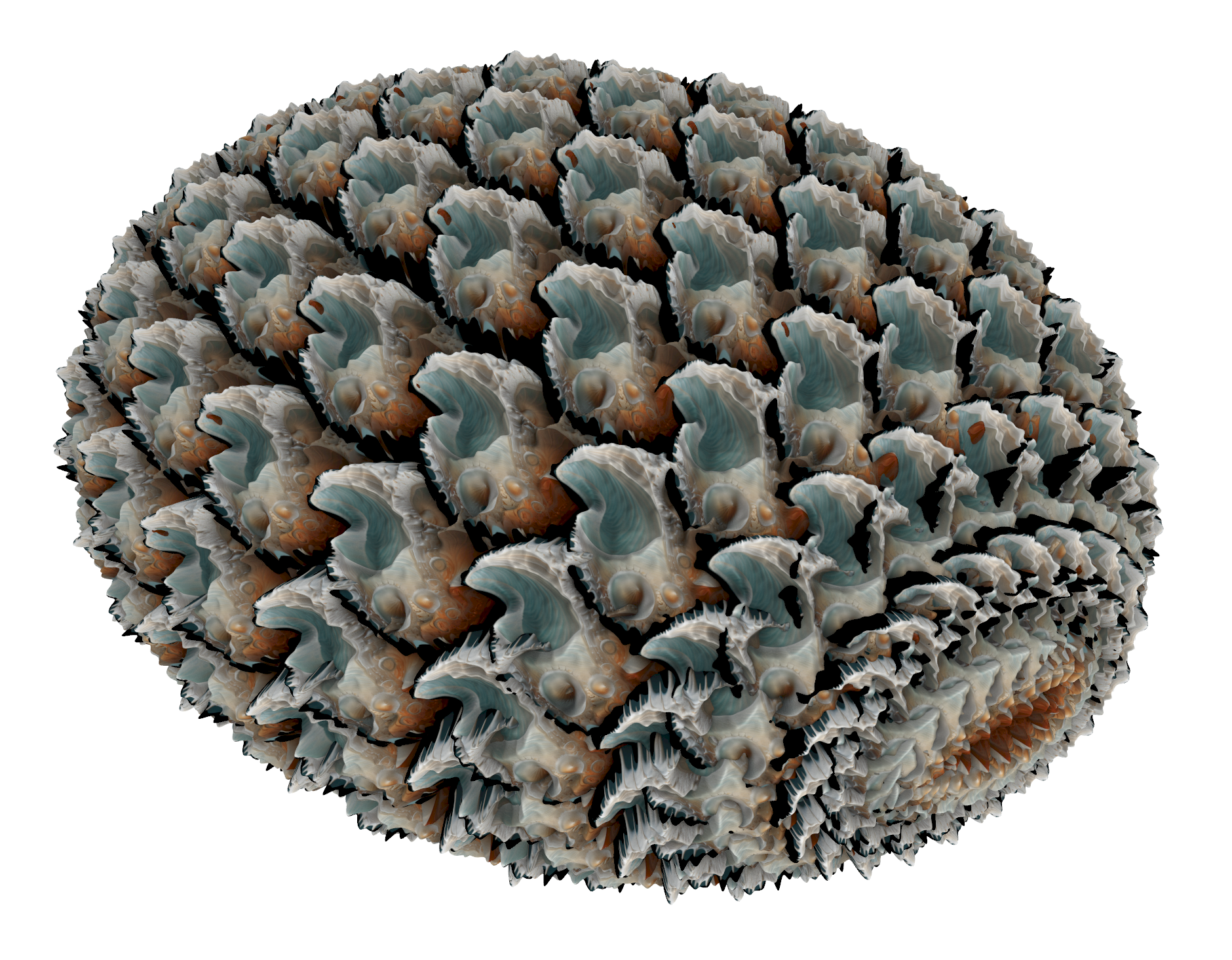 Shell Inspired Model : 5 Steps - Instructables