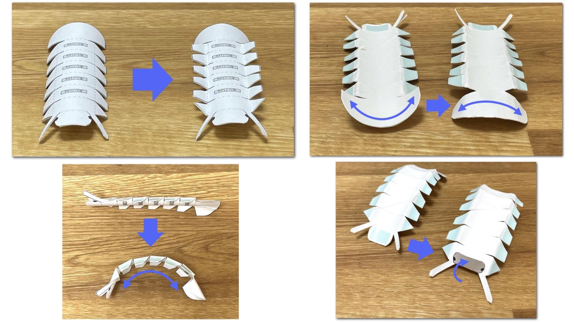 Roly-poly, Toilet Paper Core Crafts : 9 Steps (with Pictures) - Instructables