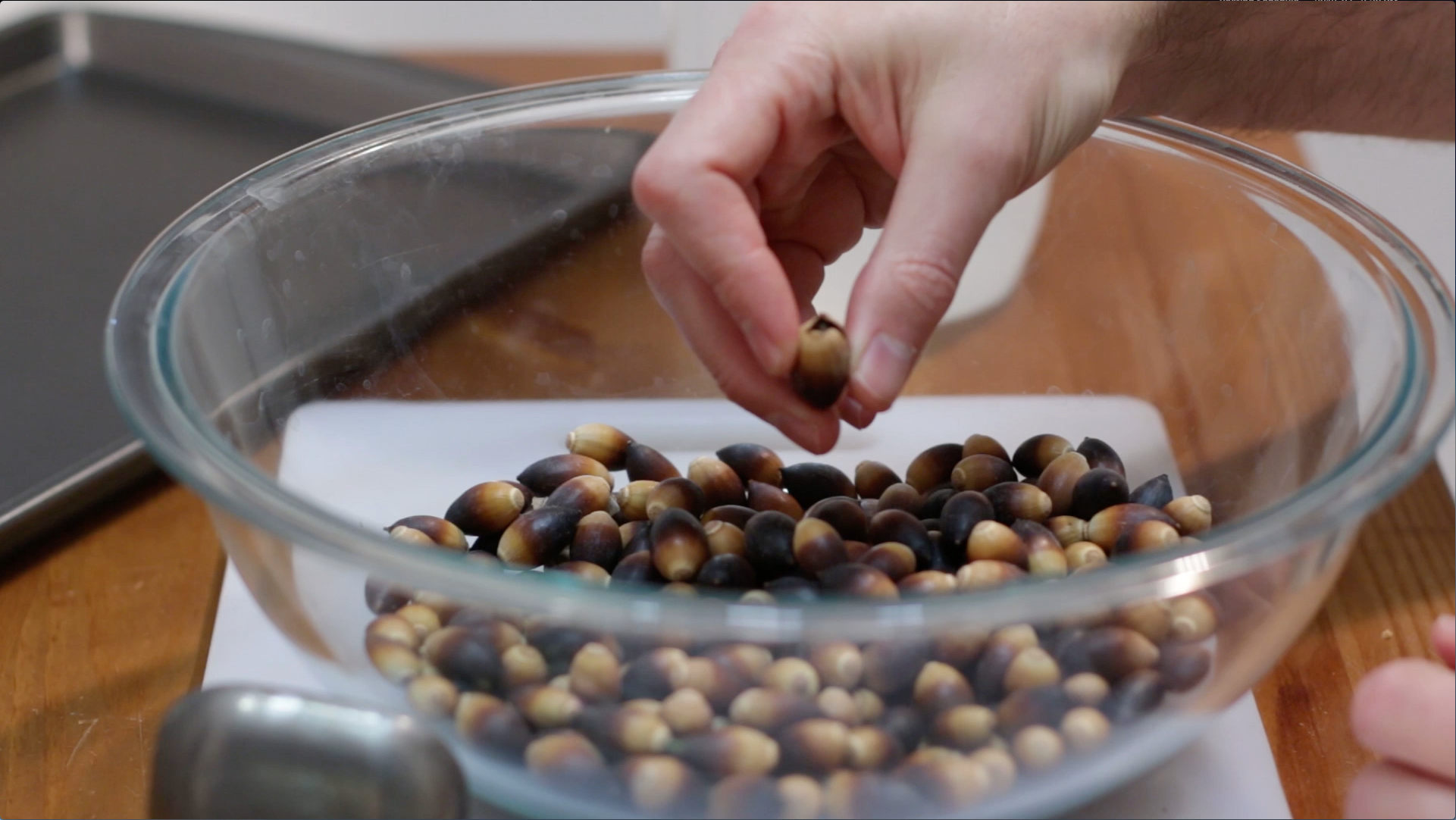 How to Process Acorns and Make Acorn Flour : 8 Steps (with Pictures ...