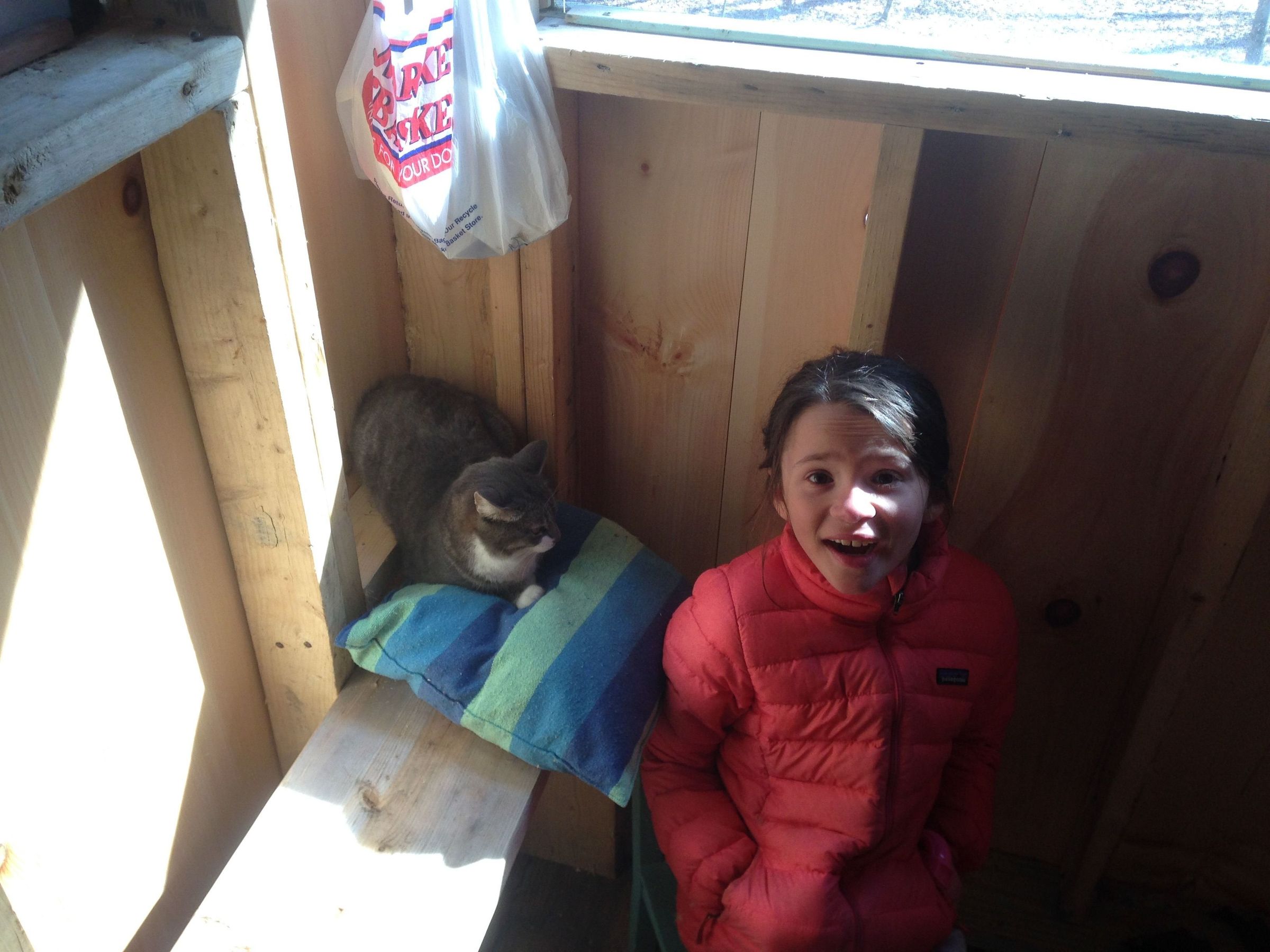 Multi Level Tree House From Recycled Materials : 10 Steps (with ...