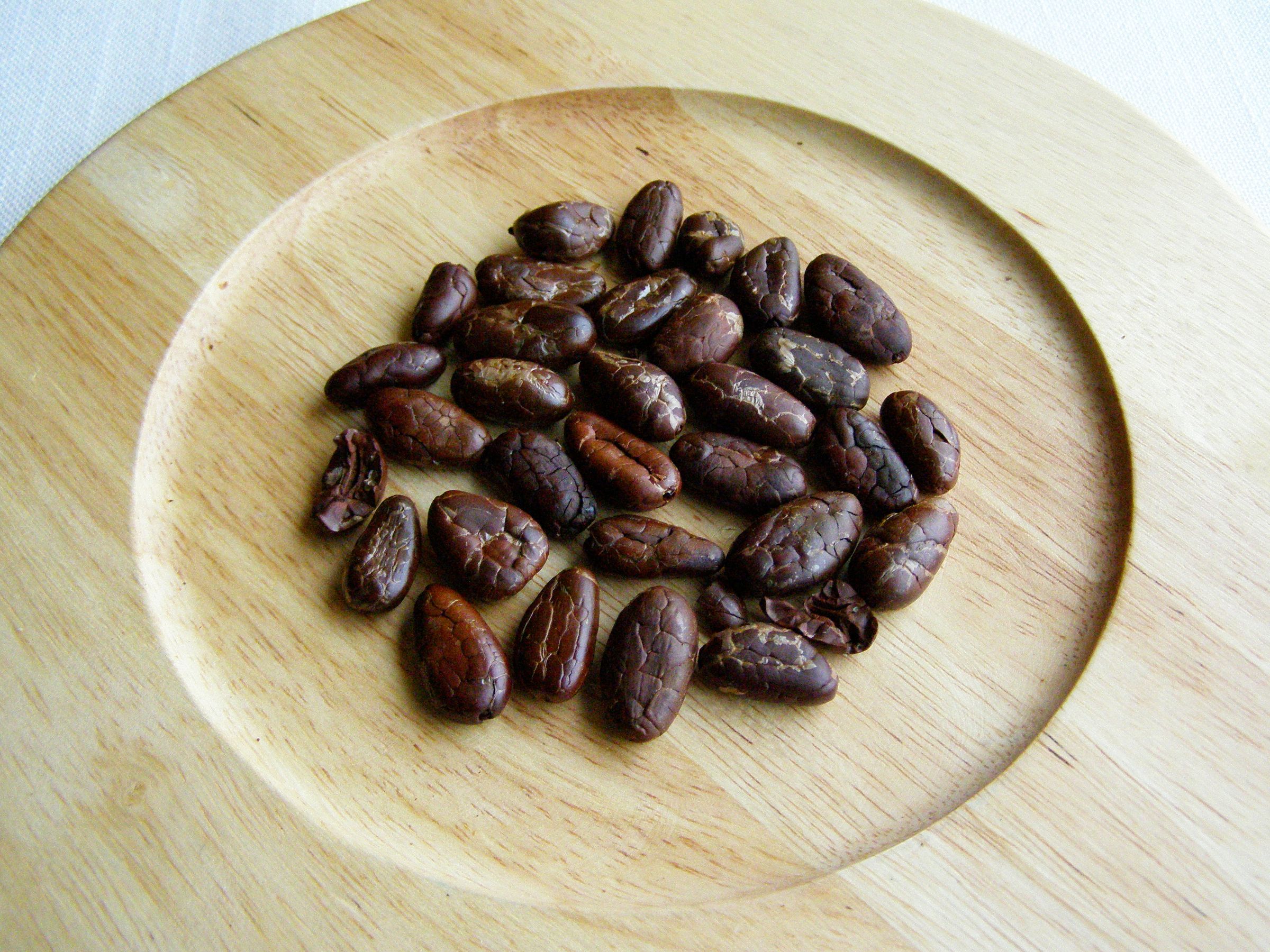 Mayan Cacao Beans