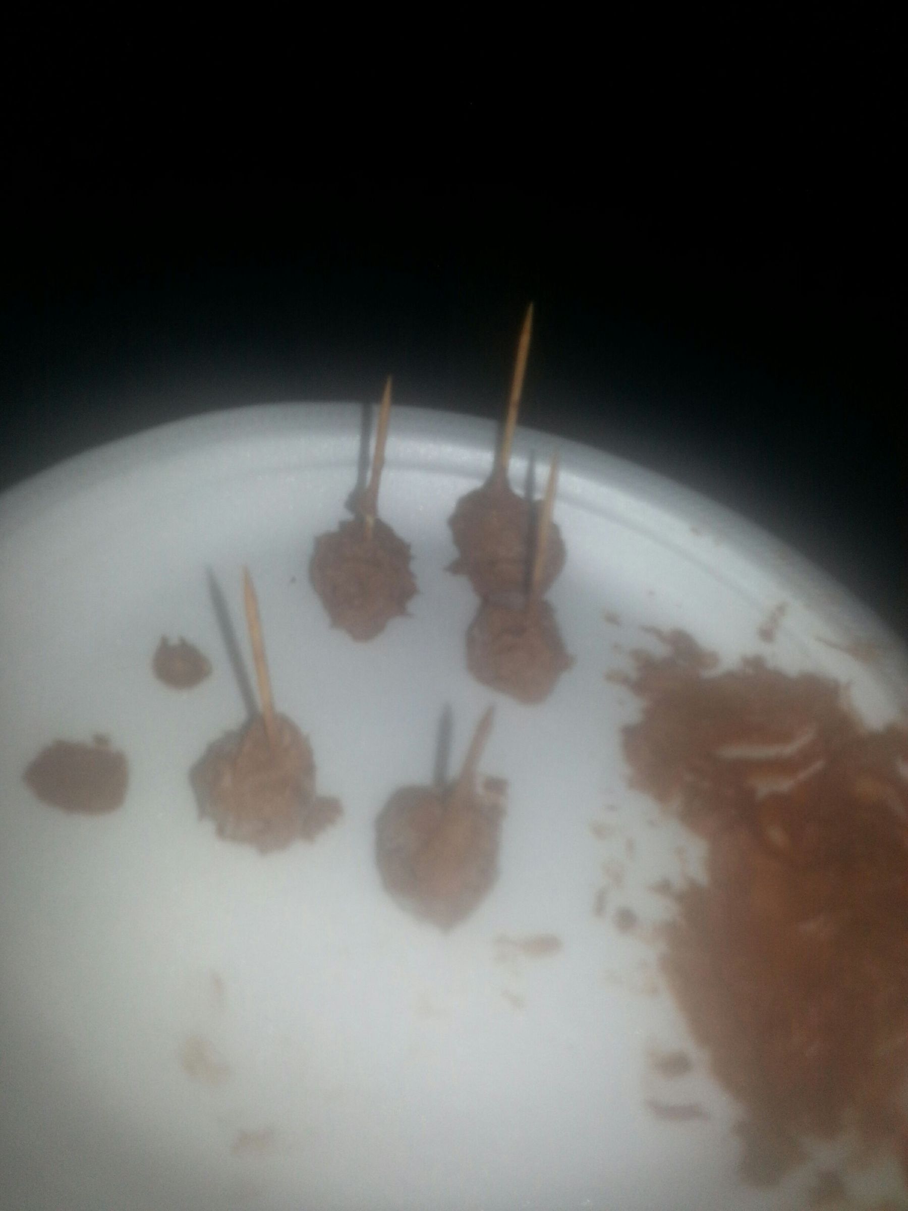 Frozen Chocolate Grapettes : 6 Steps - Instructables