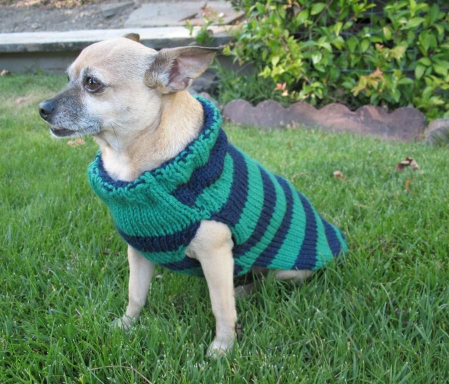 Pin-Up Pup : 10 Steps (with Pictures) - Instructables