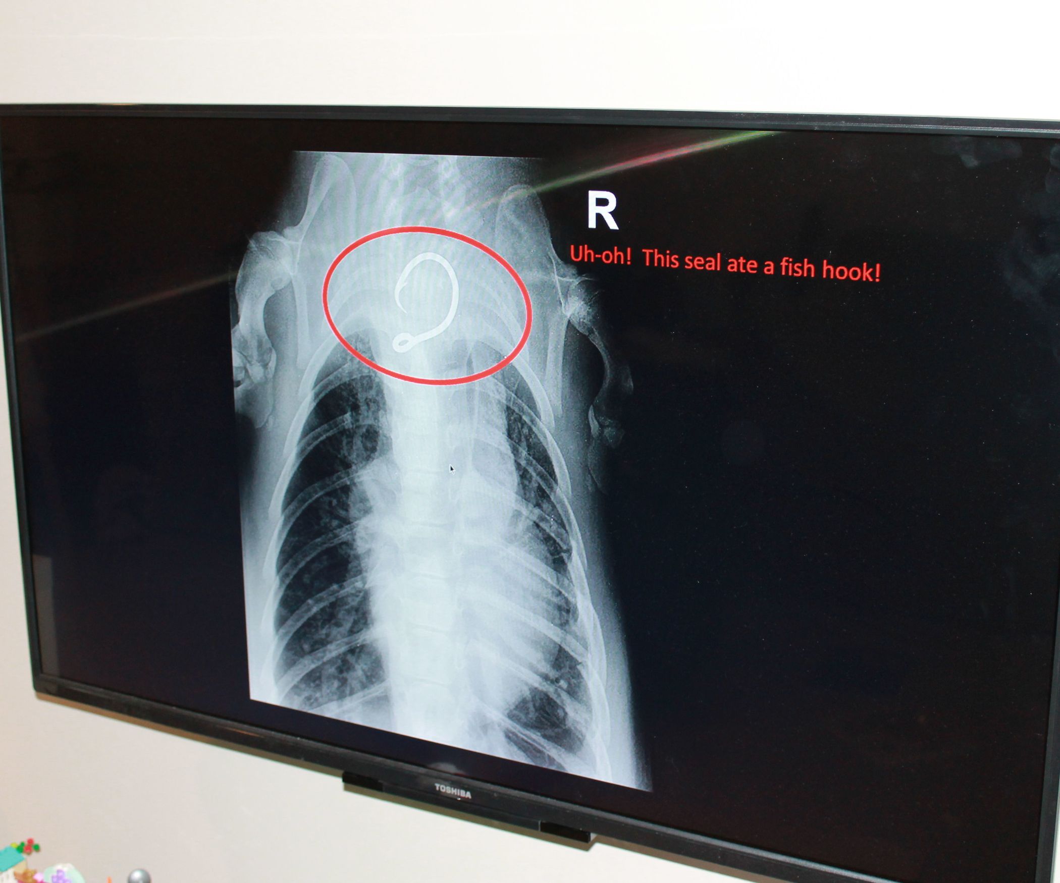 Stuffed Animal X-Ray Machine : 14 Steps (with Pictures) - Instructables