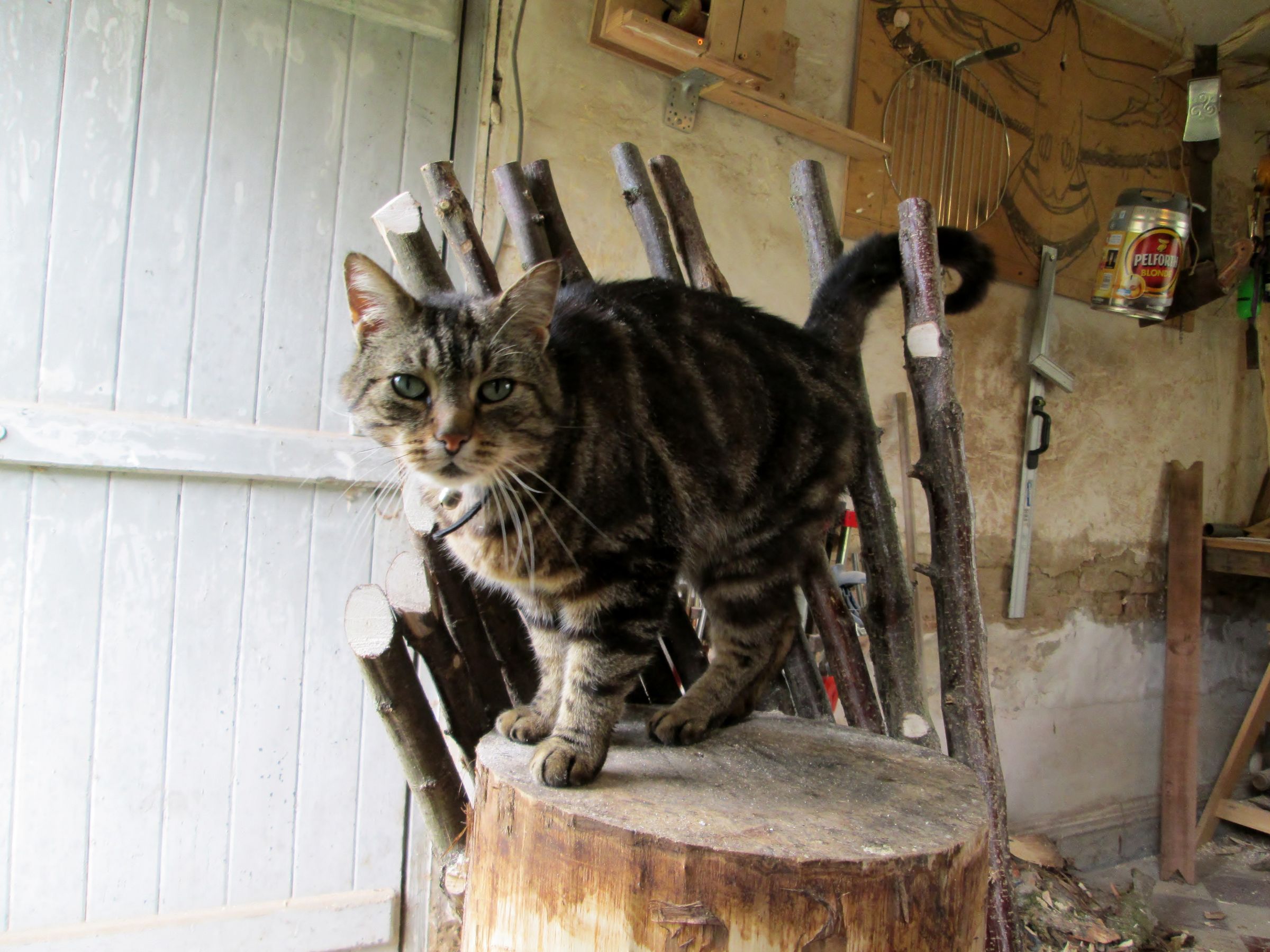 Stump Throne : 5 Steps (with Pictures) - Instructables