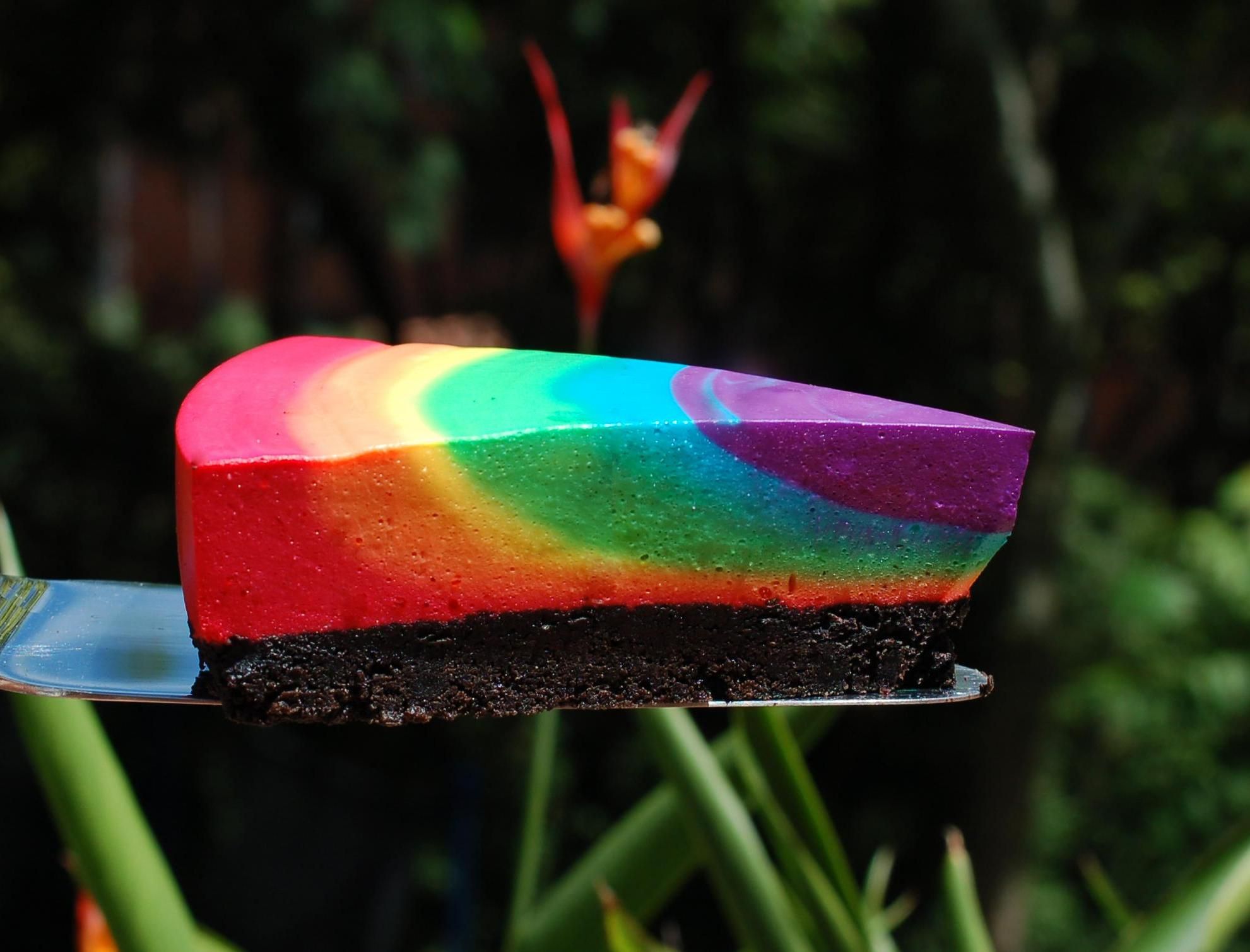 Rainbow Cheesecake Recipe : 5 Steps (with Pictures) - Instructables