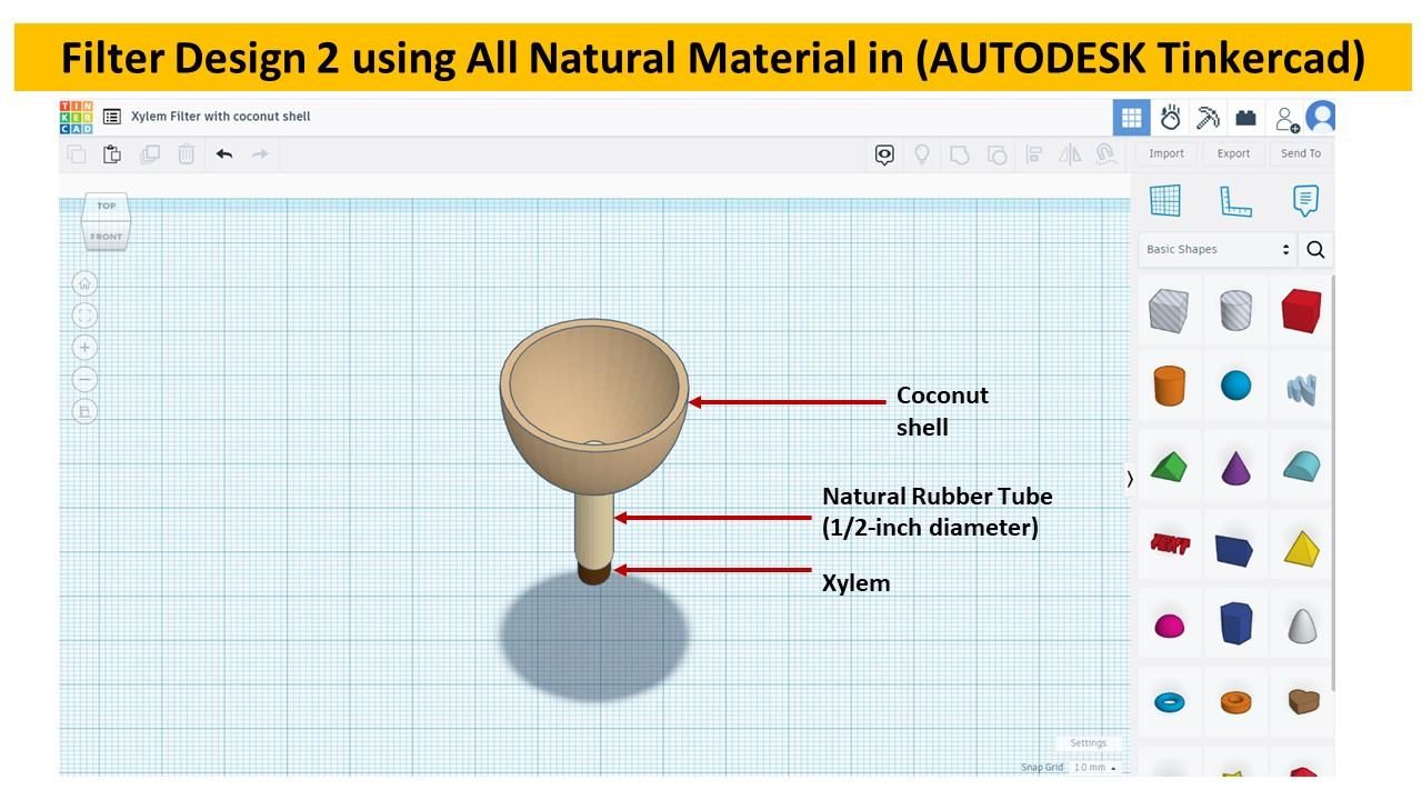 Unusual Use of Plant Xylem & Coconut Shell to Make Water Filter : 11 ...