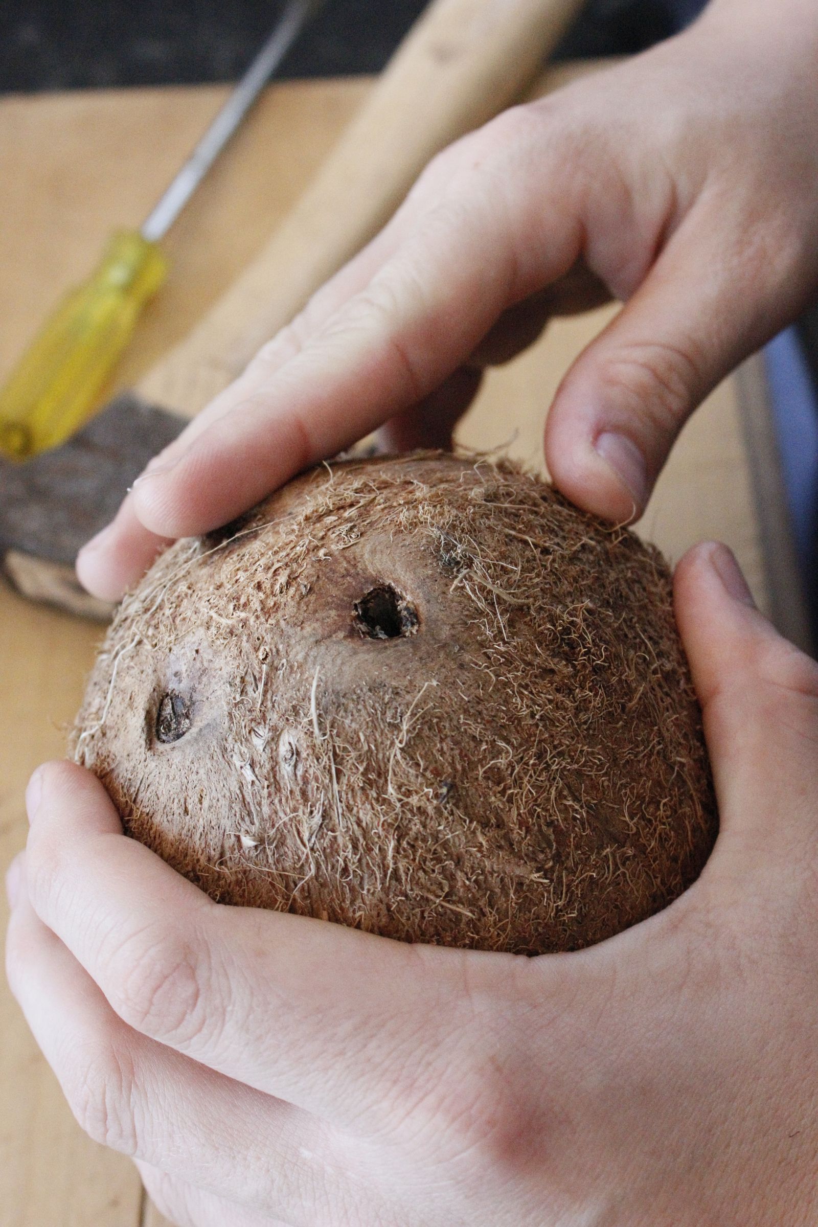 Crack Open a Coconut : 4 Steps - Instructables