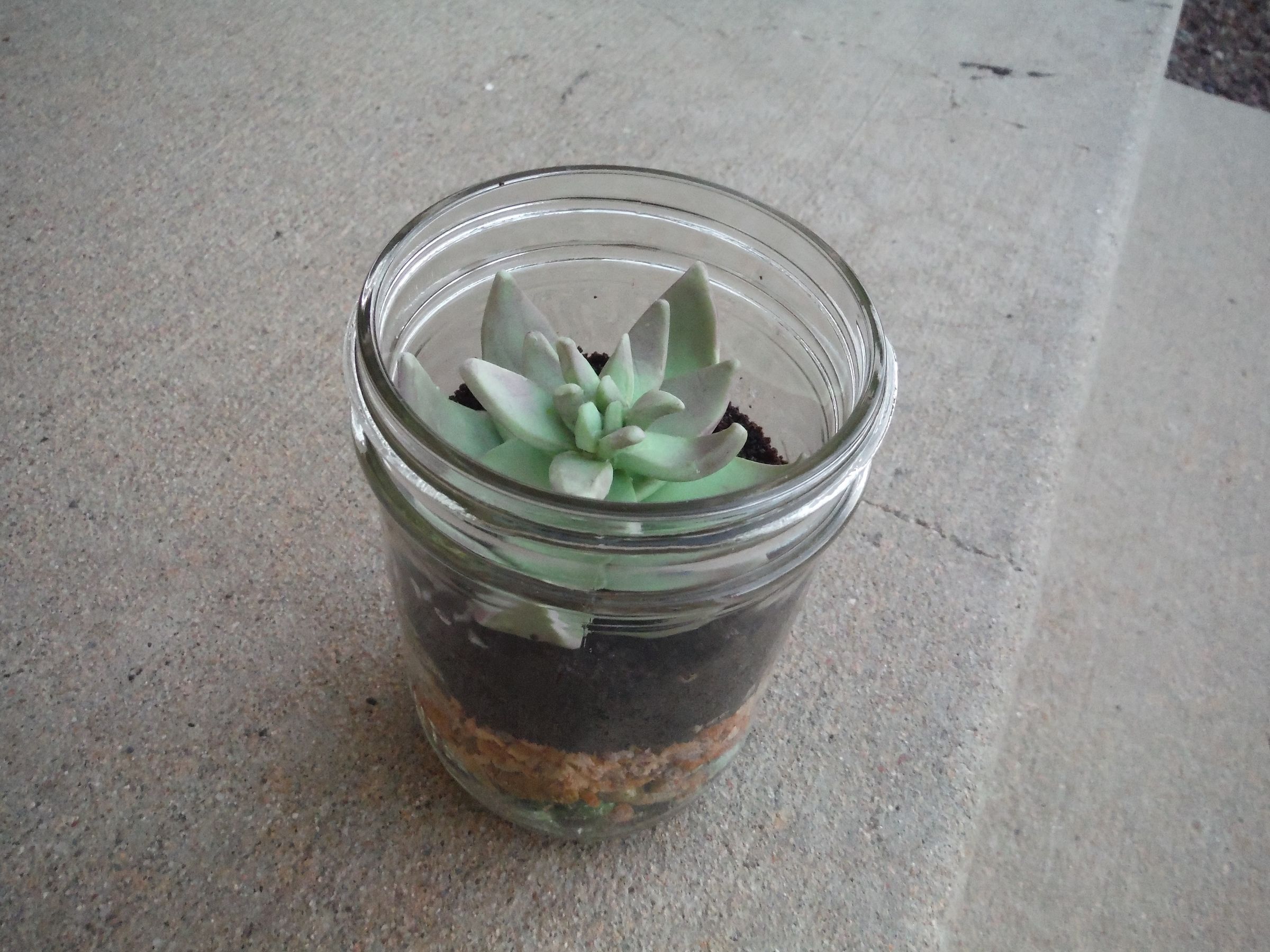 Edible Terrariums (chocolate Cake in Jar) : 9 Steps (with Pictures ...