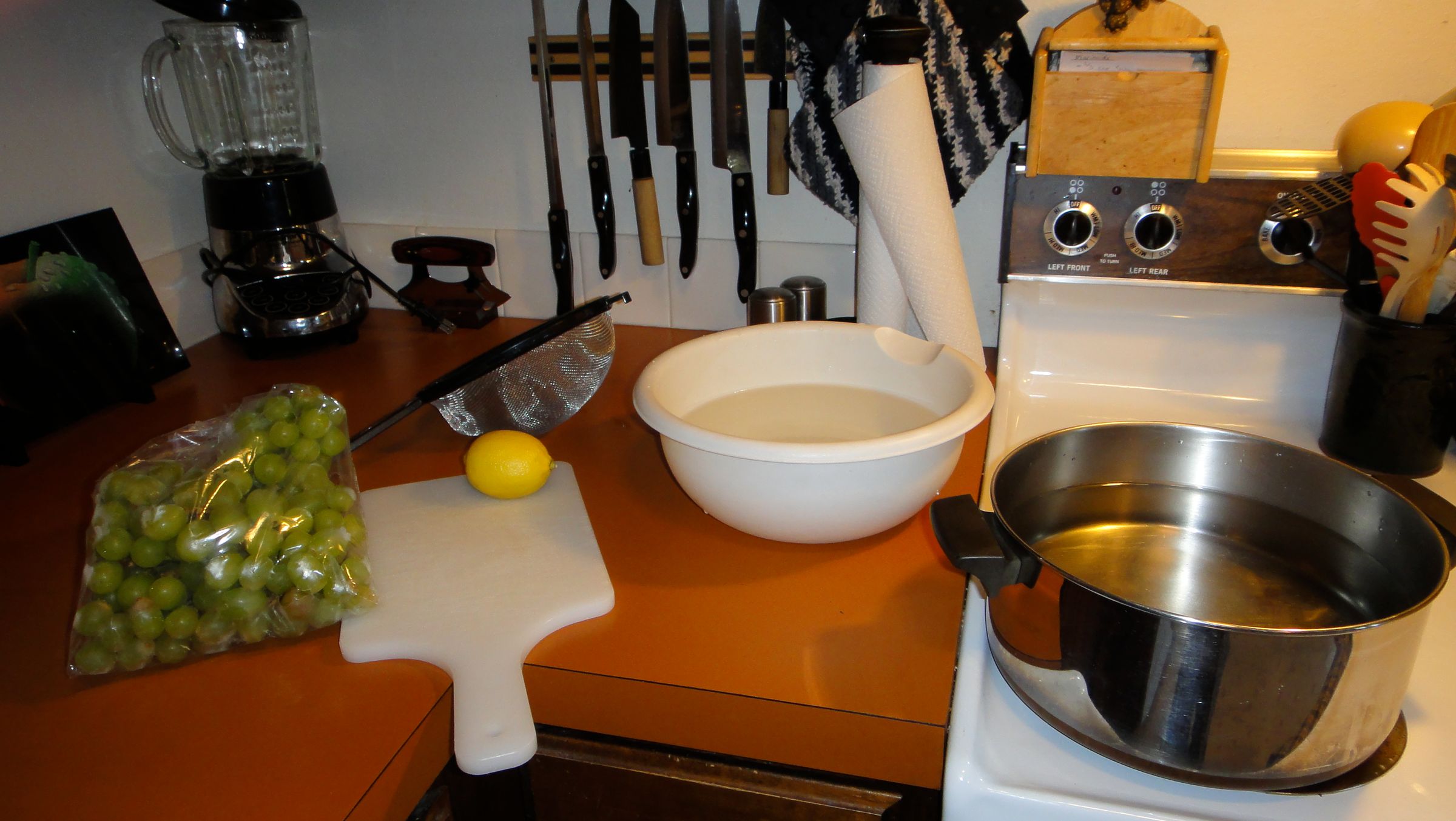 Make Raisins With a Dehydrator : 4 Steps (with Pictures) - Instructables