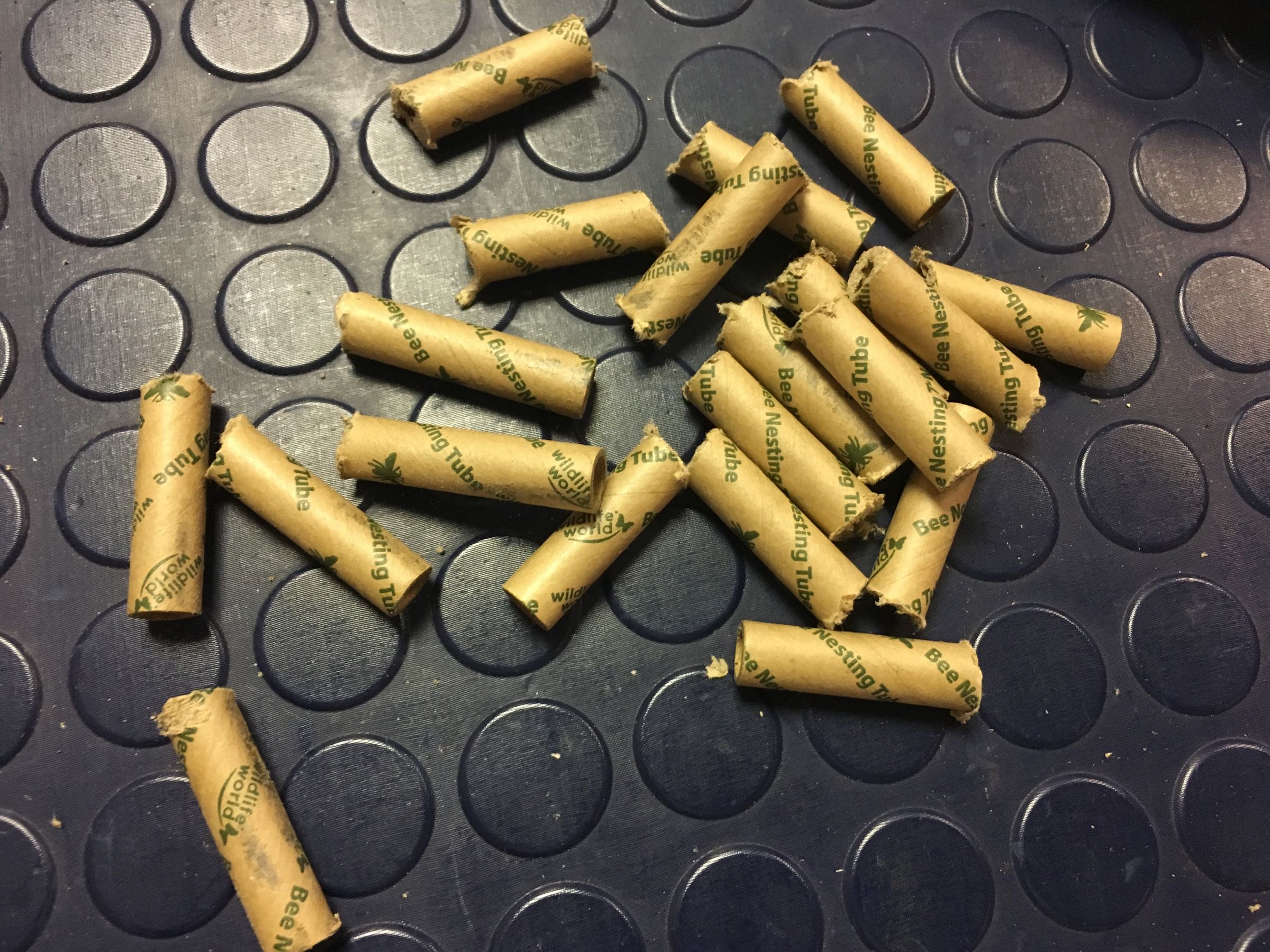 Cardboard Cowboy Costume : 6 Steps - Instructables