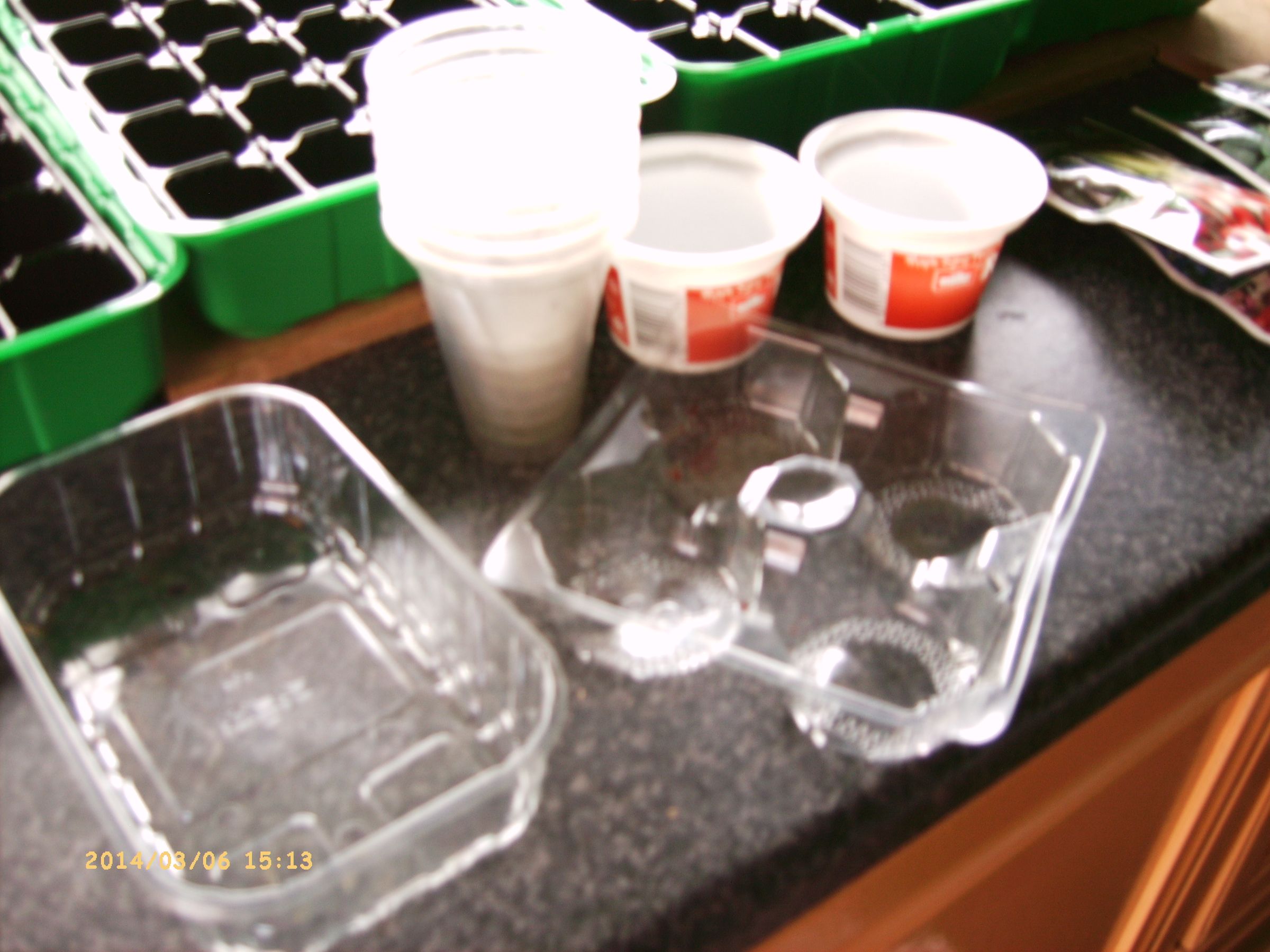 Need for Seed : 7 Steps - Instructables