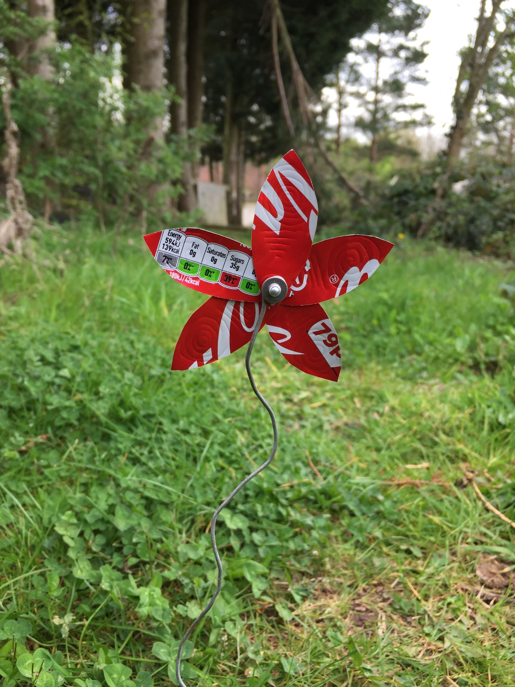 How to Make a Simple Recycled Tin-Can Flower for Your Garden or Plant ...