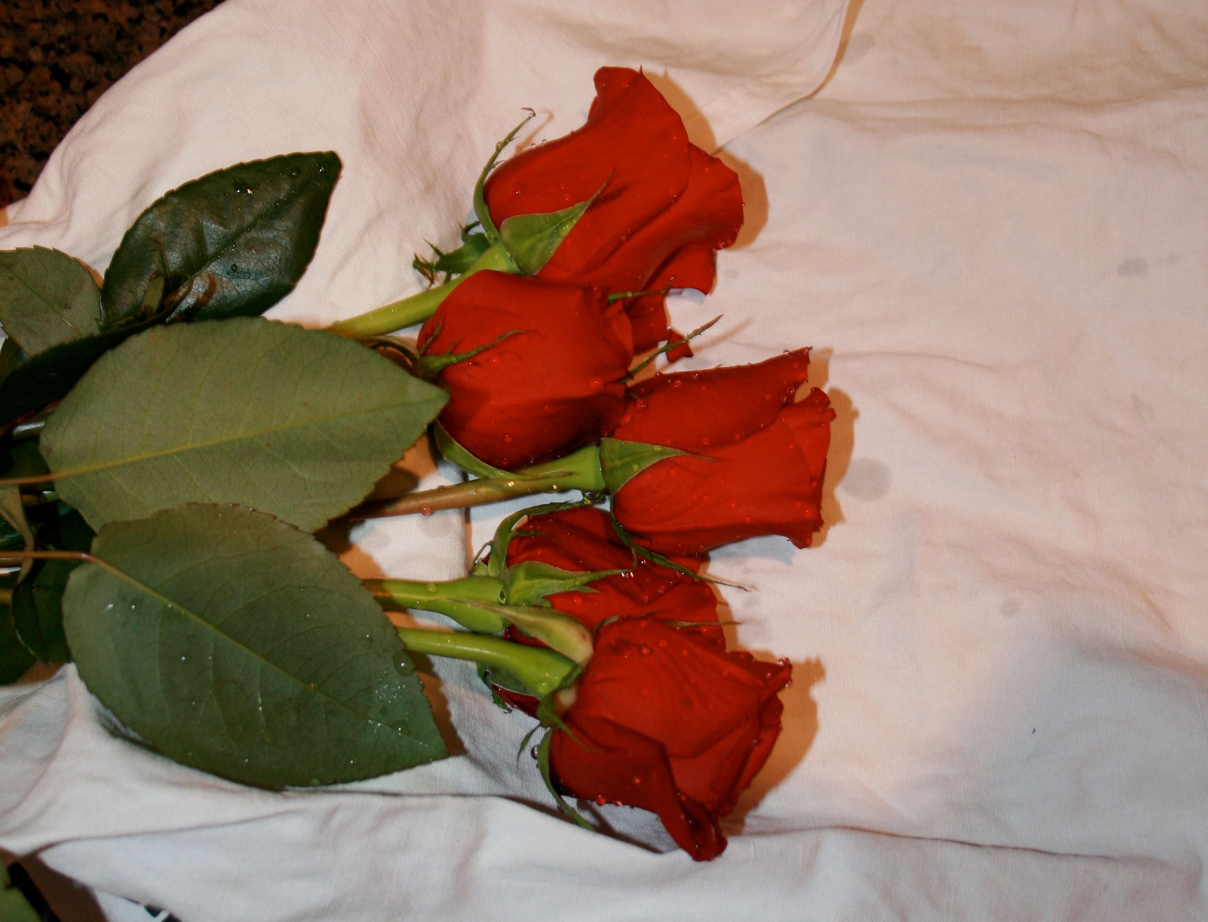 Edible Chocolate-covered Roses : 5 Steps (with Pictures) - Instructables