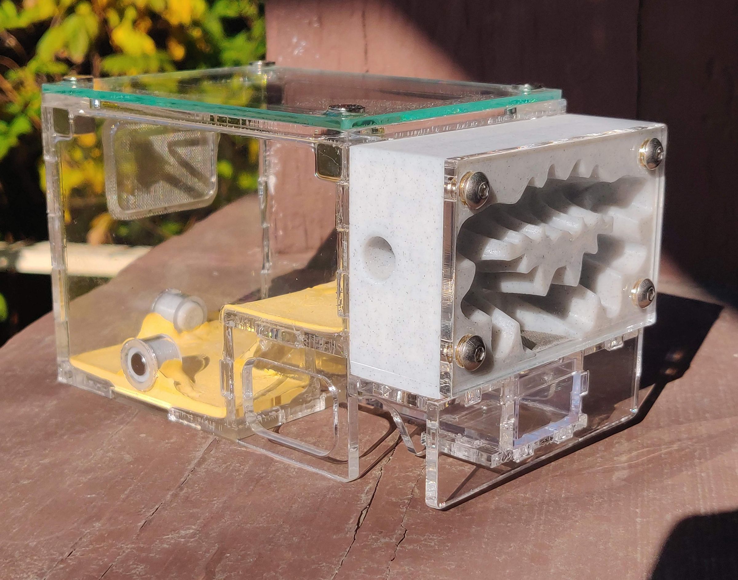 Small Modular Formicarium (Ant Farm) : 16 Steps (with Pictures ...