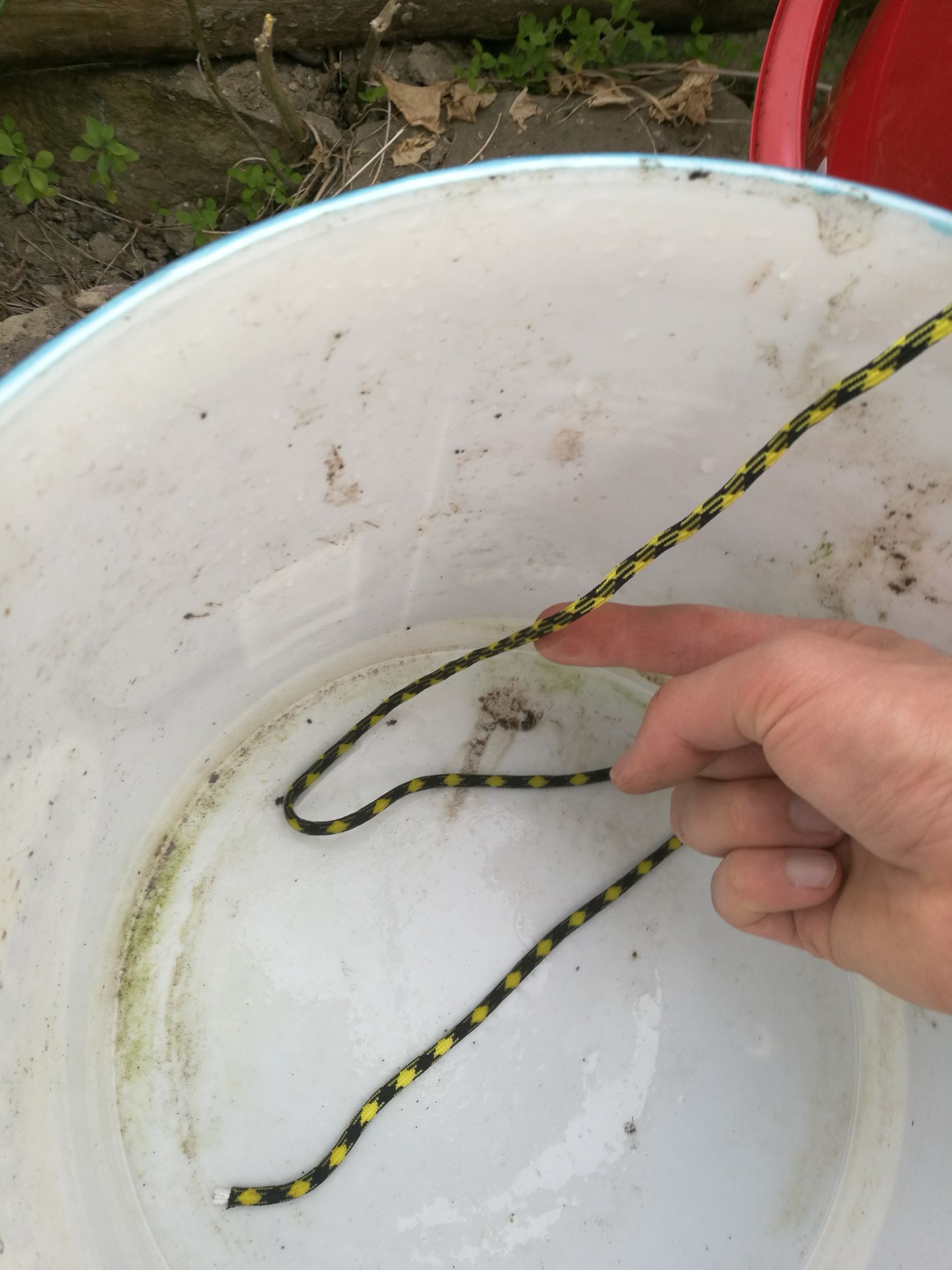 Simple Wicking System : 4 Steps - Instructables