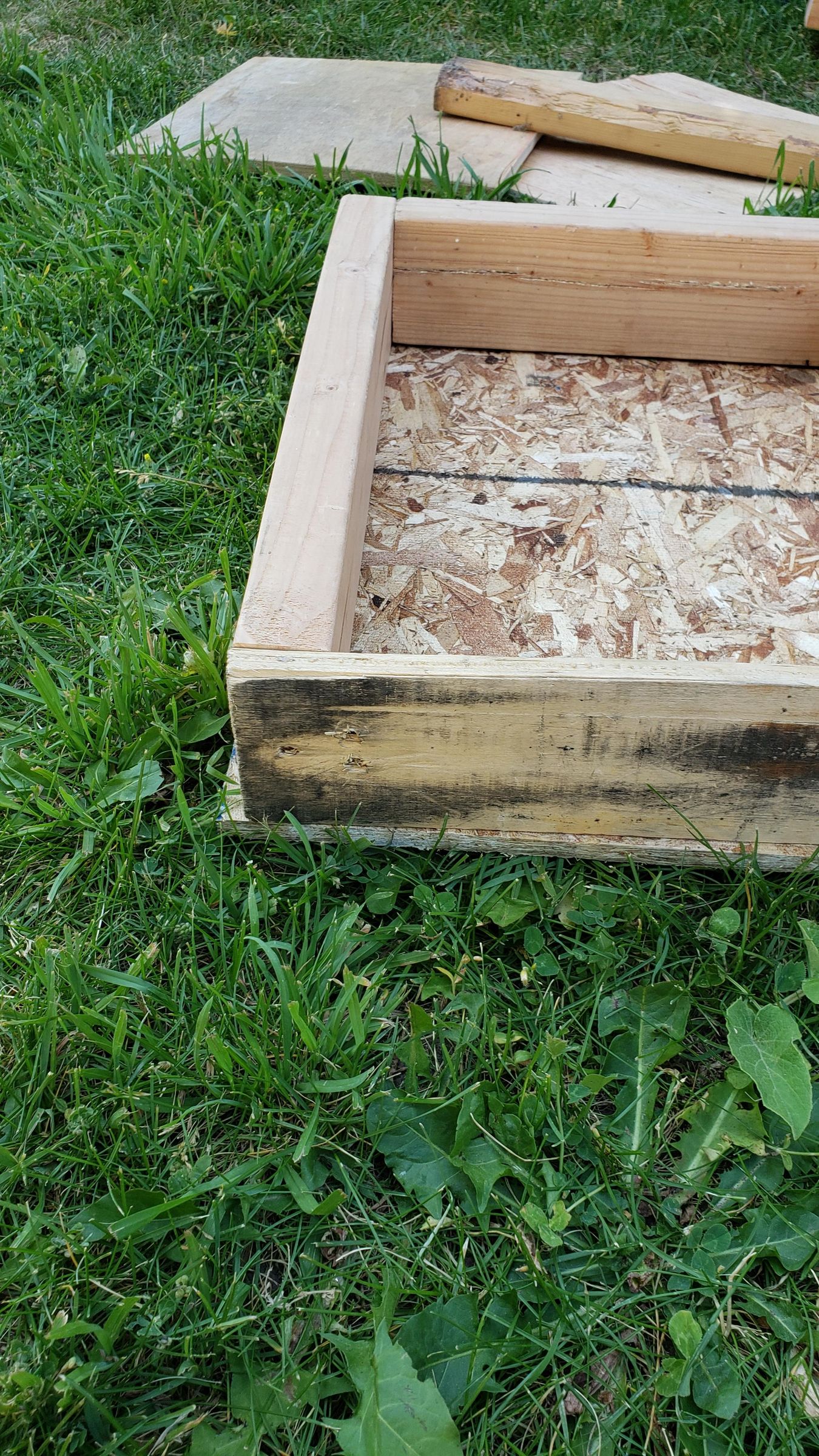 Easy Egg Collecting Exterior Nesting Box : 5 Steps (with Pictures ...