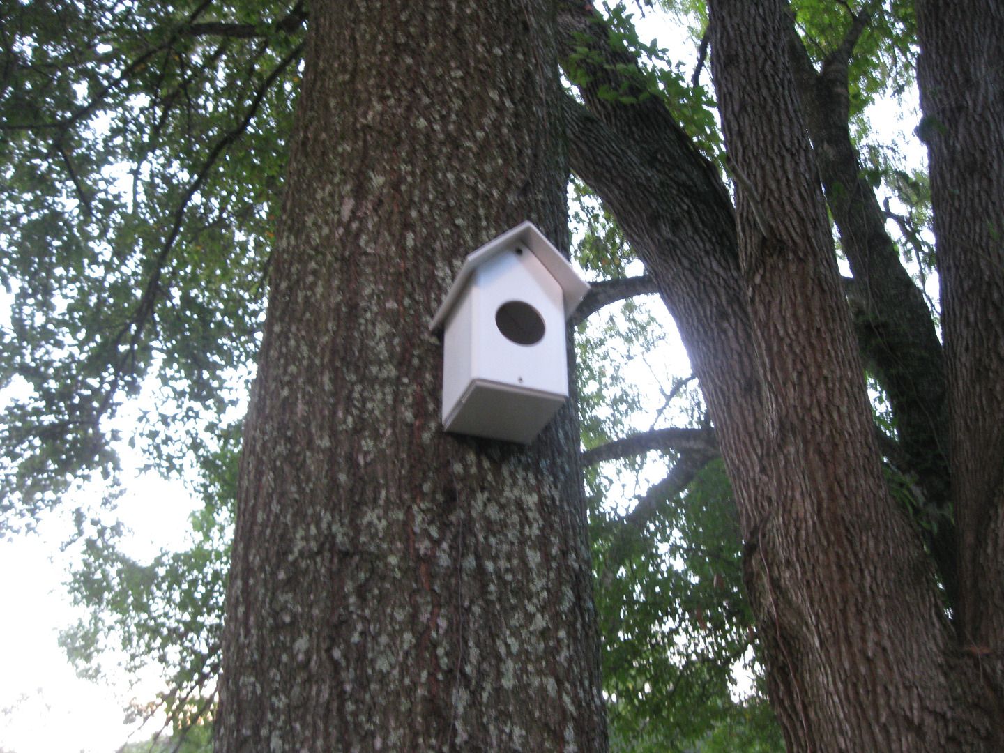 Simple PVC Birdhouses : 4 Steps (with Pictures) - Instructables