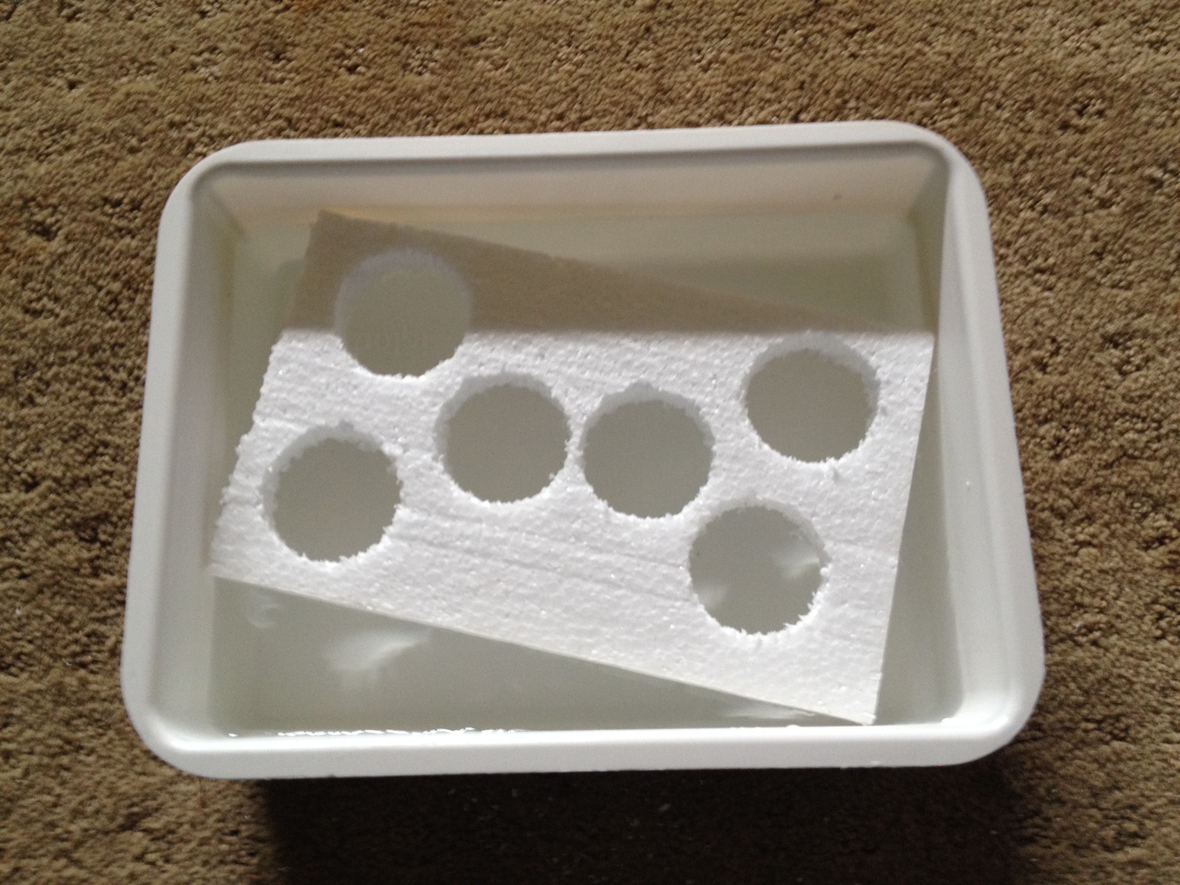 Avocado Seed Tray : 7 Steps - Instructables