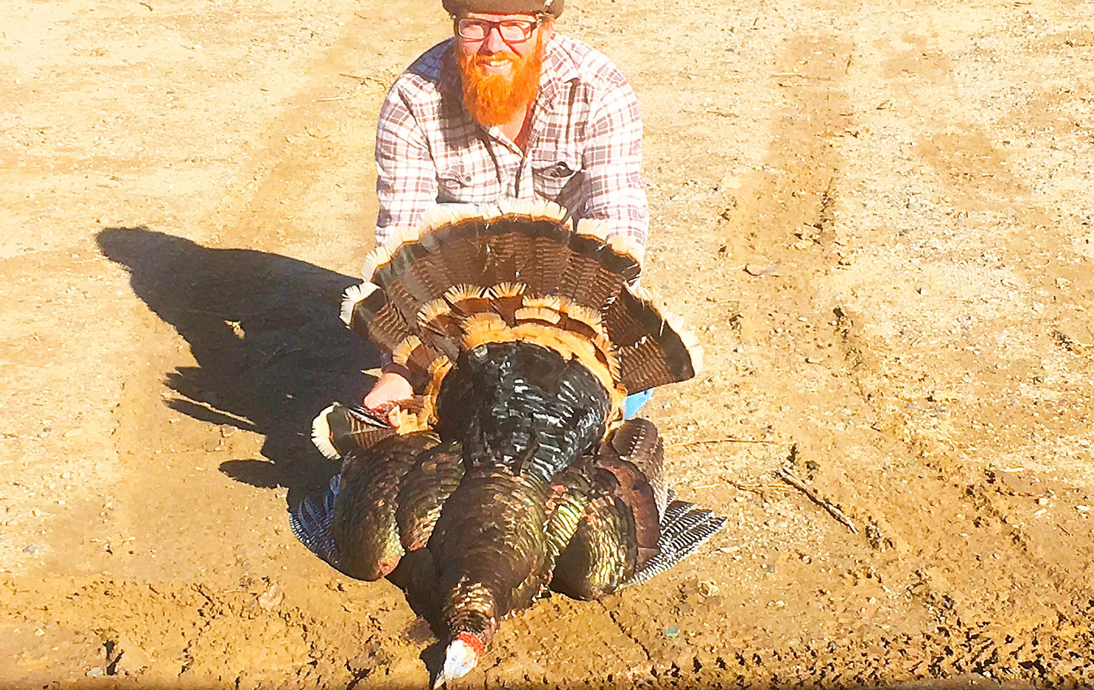 Turkey Streamer Fly - Instructables