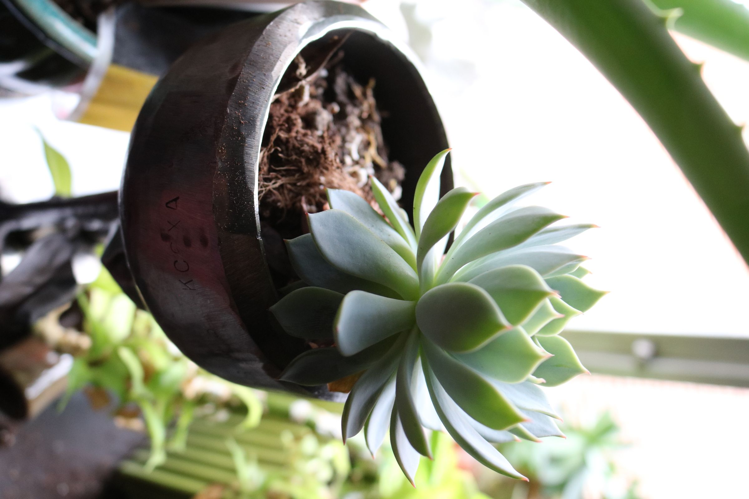 Scrap Metal Planter : 7 Steps (with Pictures) - Instructables