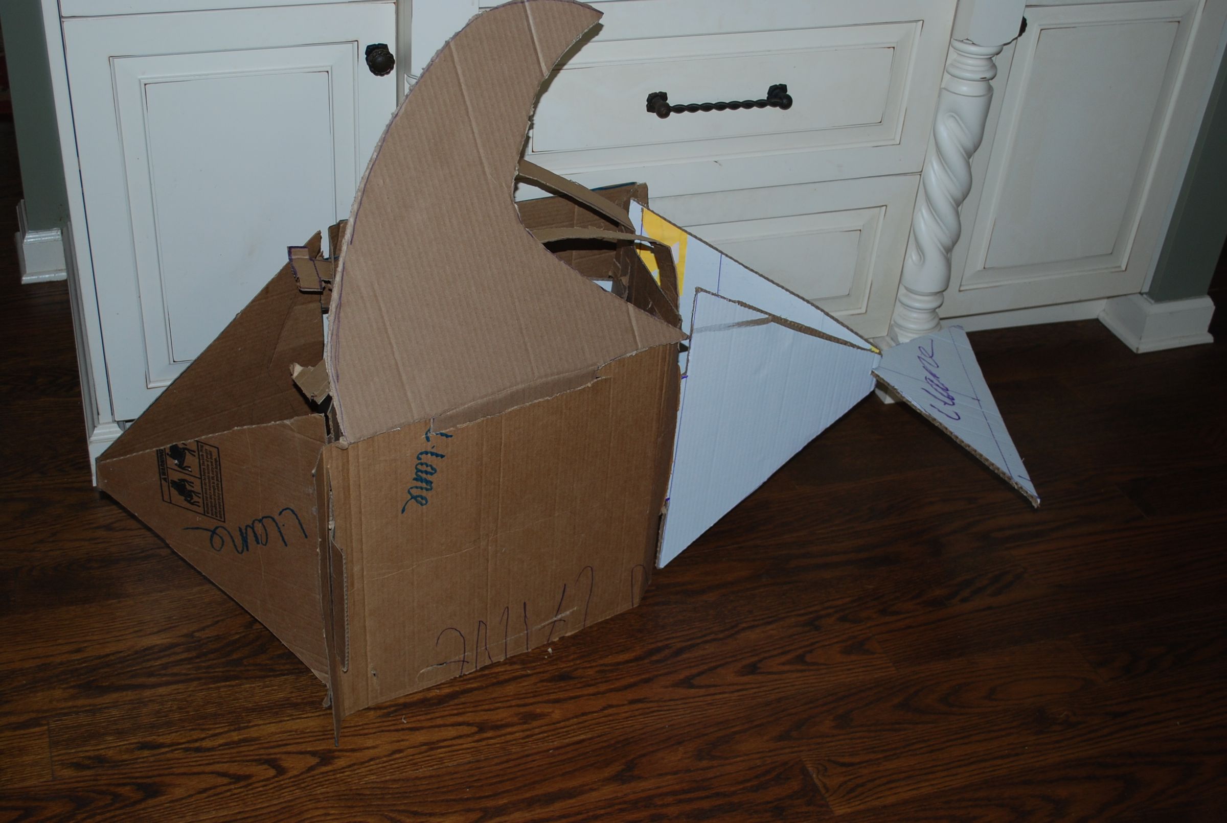 Fun to Make! Fun to Wear! 100% Eco-Friendly Angelfish Costume : 7 Steps ...