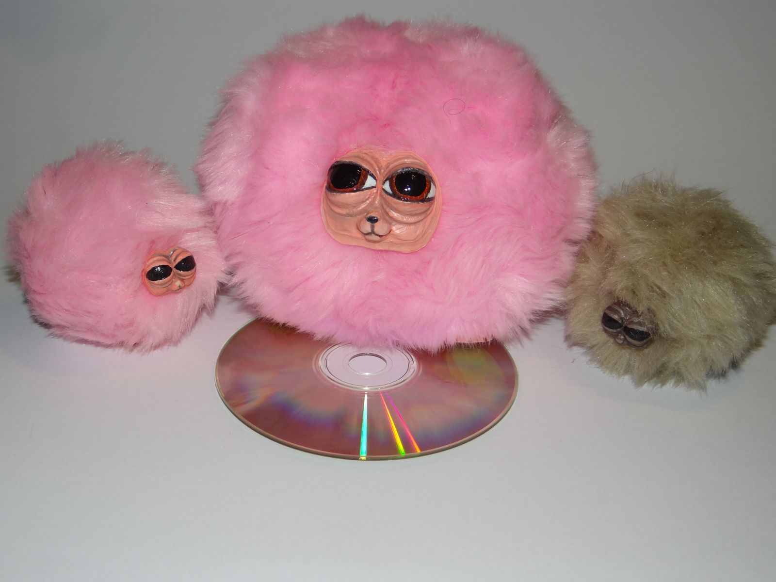 Pygmy Puff Movie