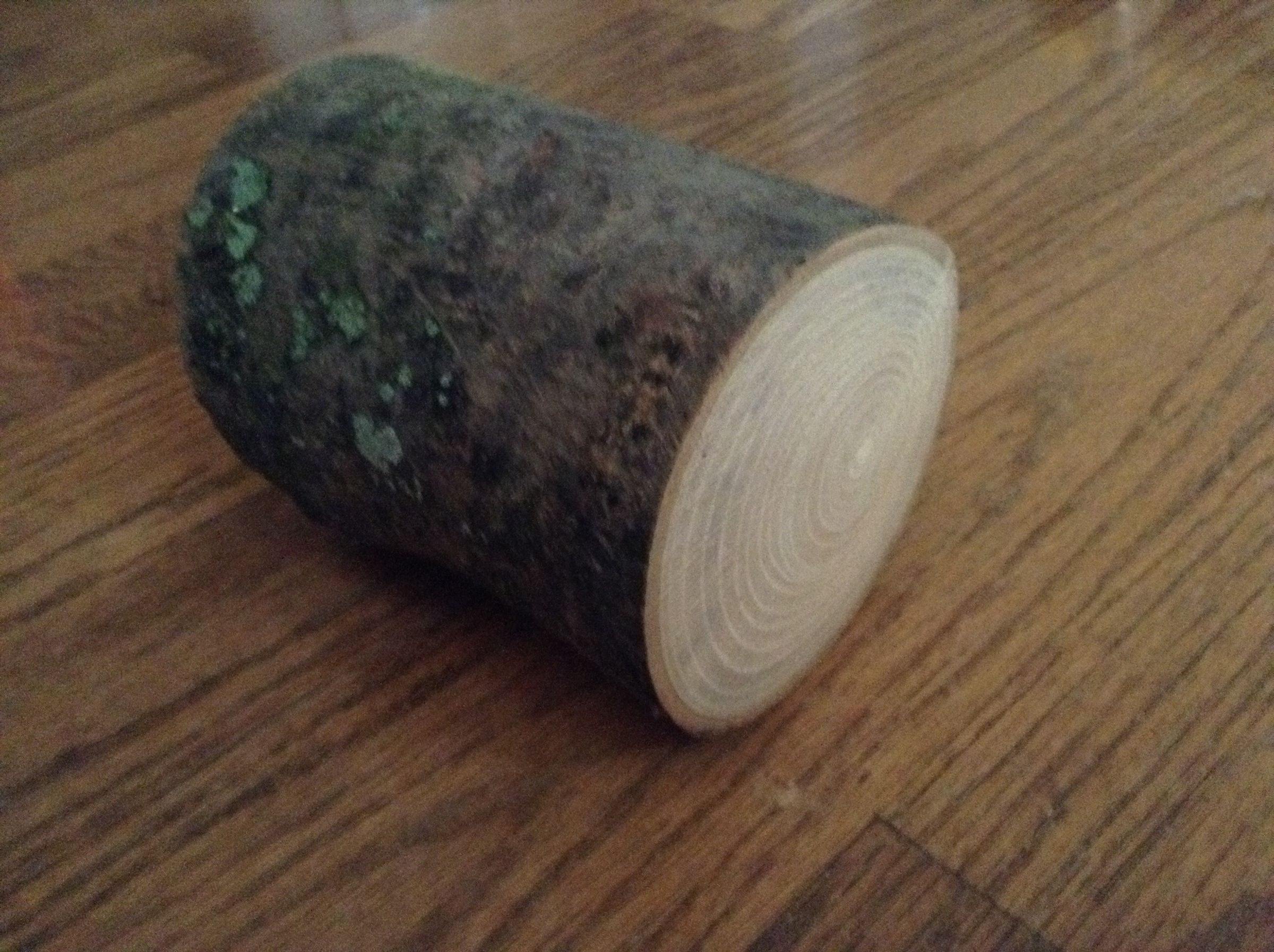 Rustic Log Pencil Holder : 3 Steps (with Pictures) - Instructables