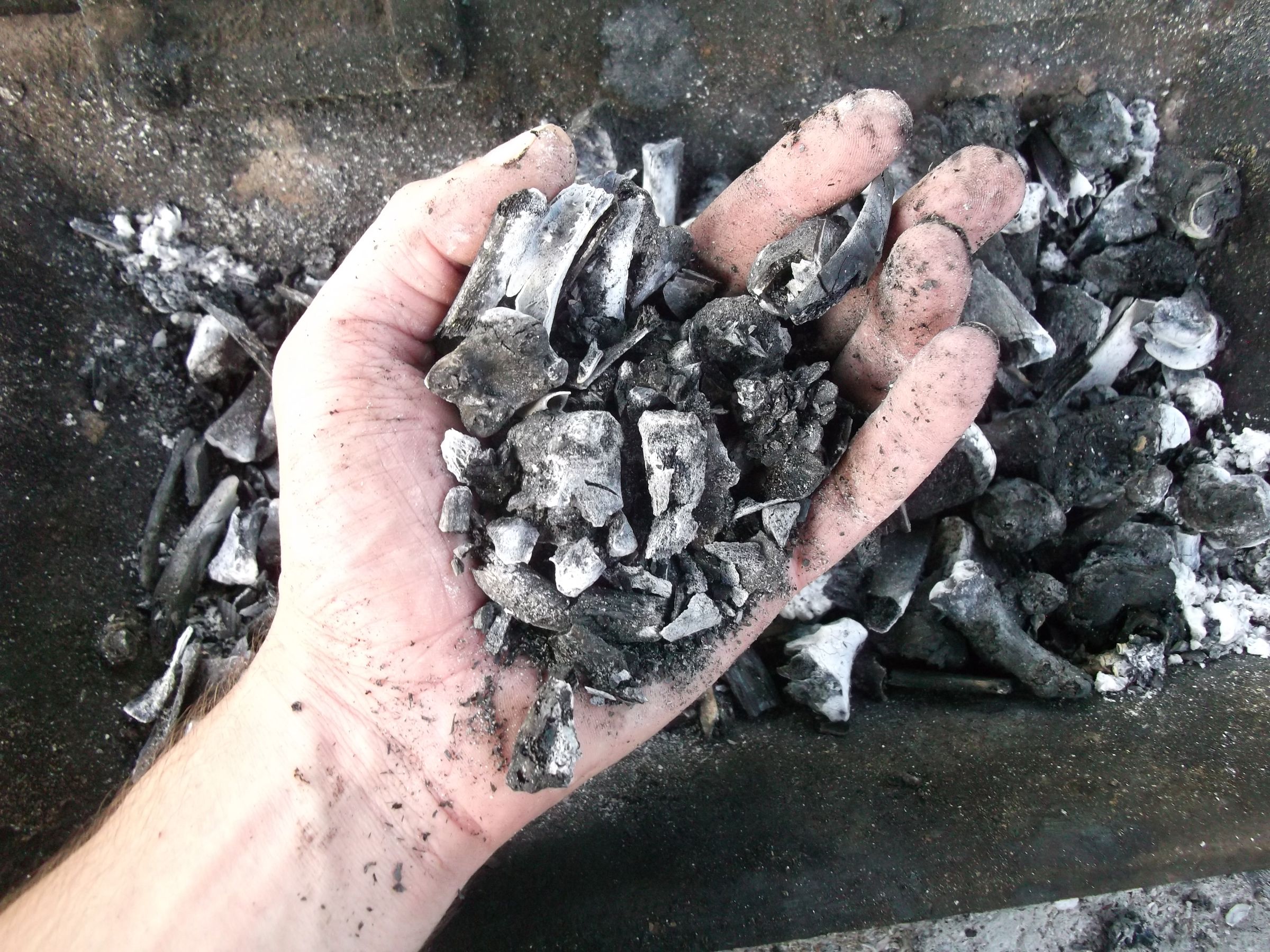 Processing Animal Bones for Composting (the Easy Way) : 7 Steps (with ...