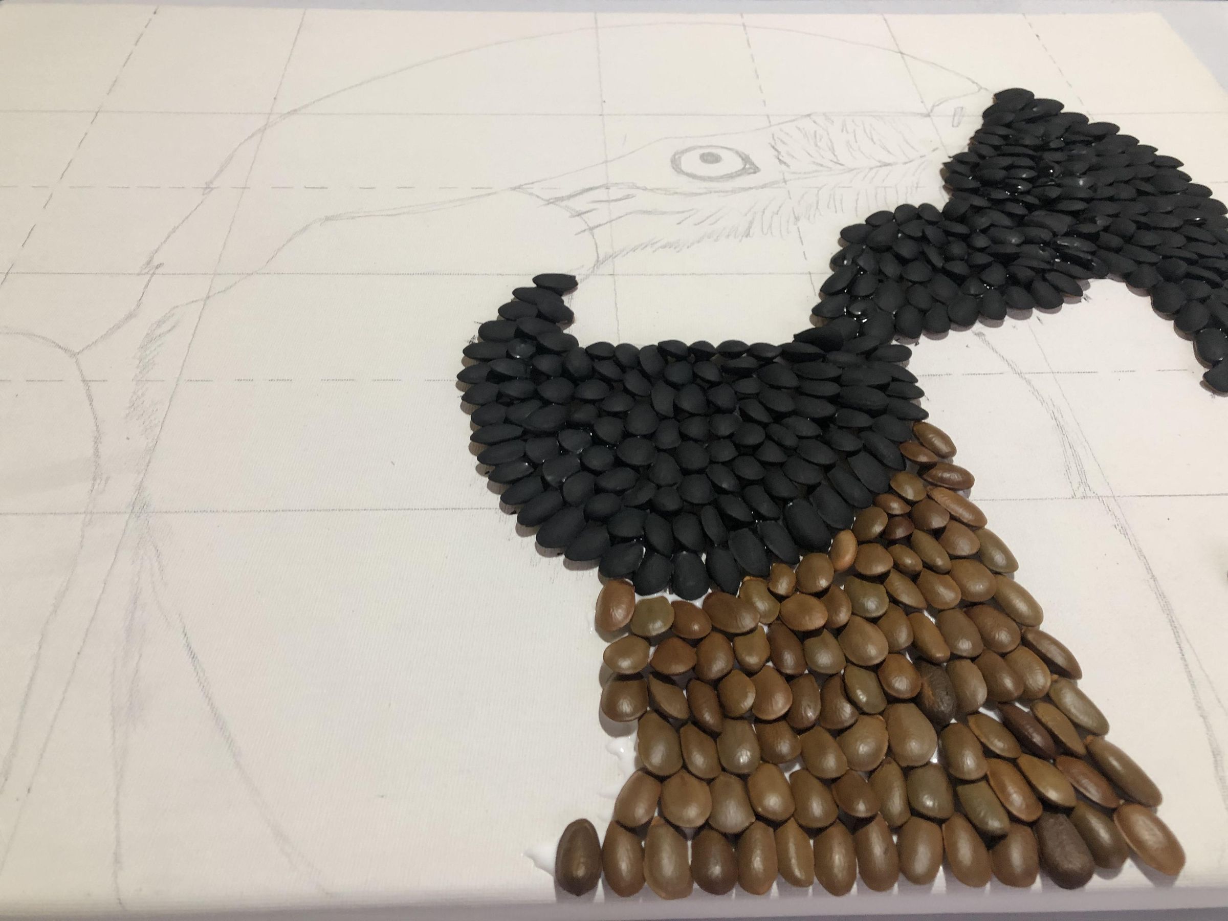 Macaw With Soursop Seeds, Rice and Mango. : 12 Steps (with Pictures ...