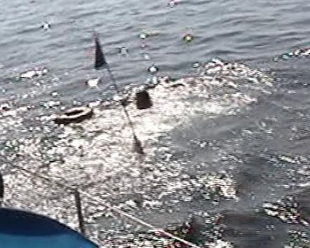 Rescuing Someone Fallen Overboard From a Boat : 9 Steps (with Pictures ...